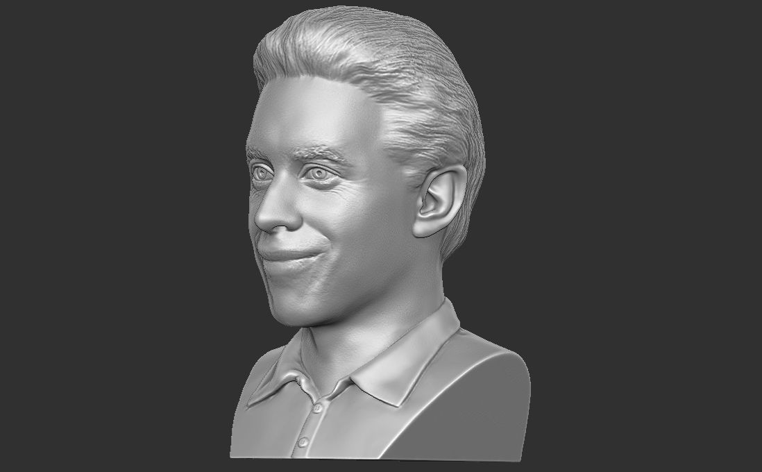 Jerry Seinfeld bust for 3D printing 3D model 3D printable | CGTrader