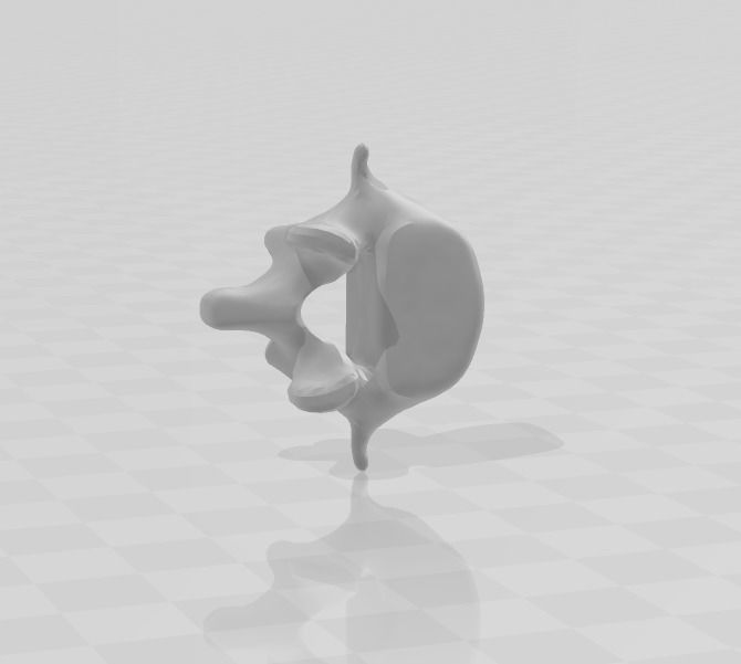 ESQUELETO HUESO POR HUESO - BONE BY BONE SKELETON 3D model 3D printable ...