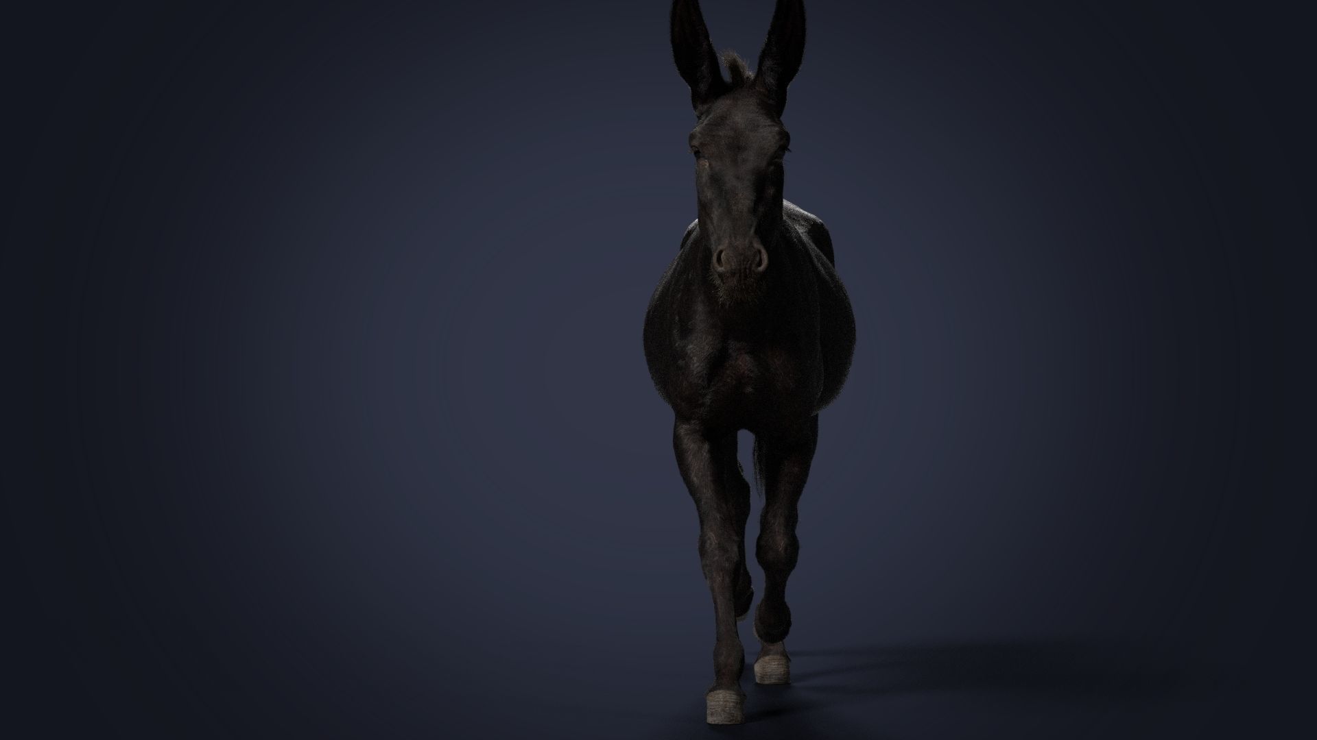 Donkey Summer Animation VFX Grace 3D model animated rigged | CGTrader