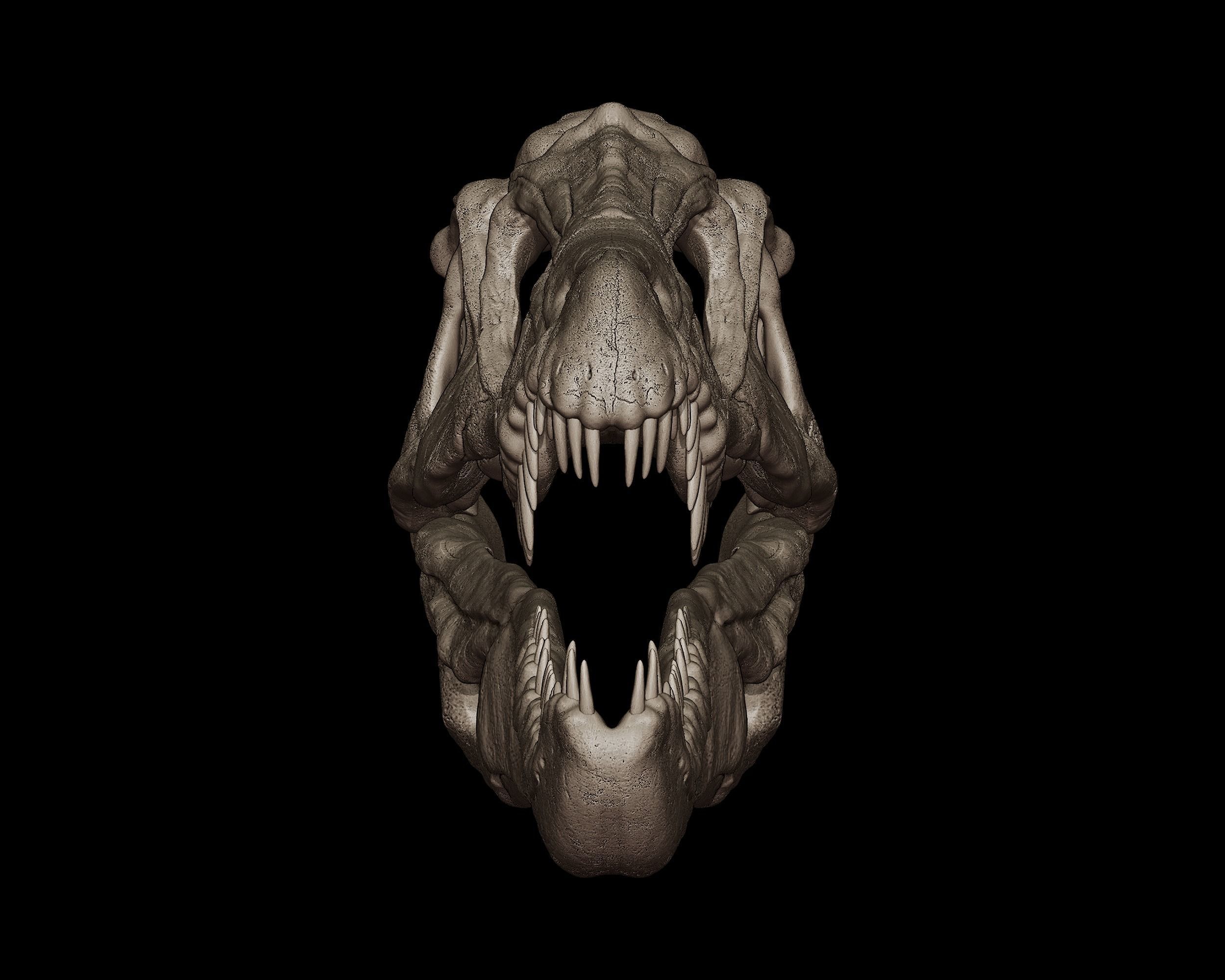 Baryonyx Skull 3D model 3D printable | CGTrader