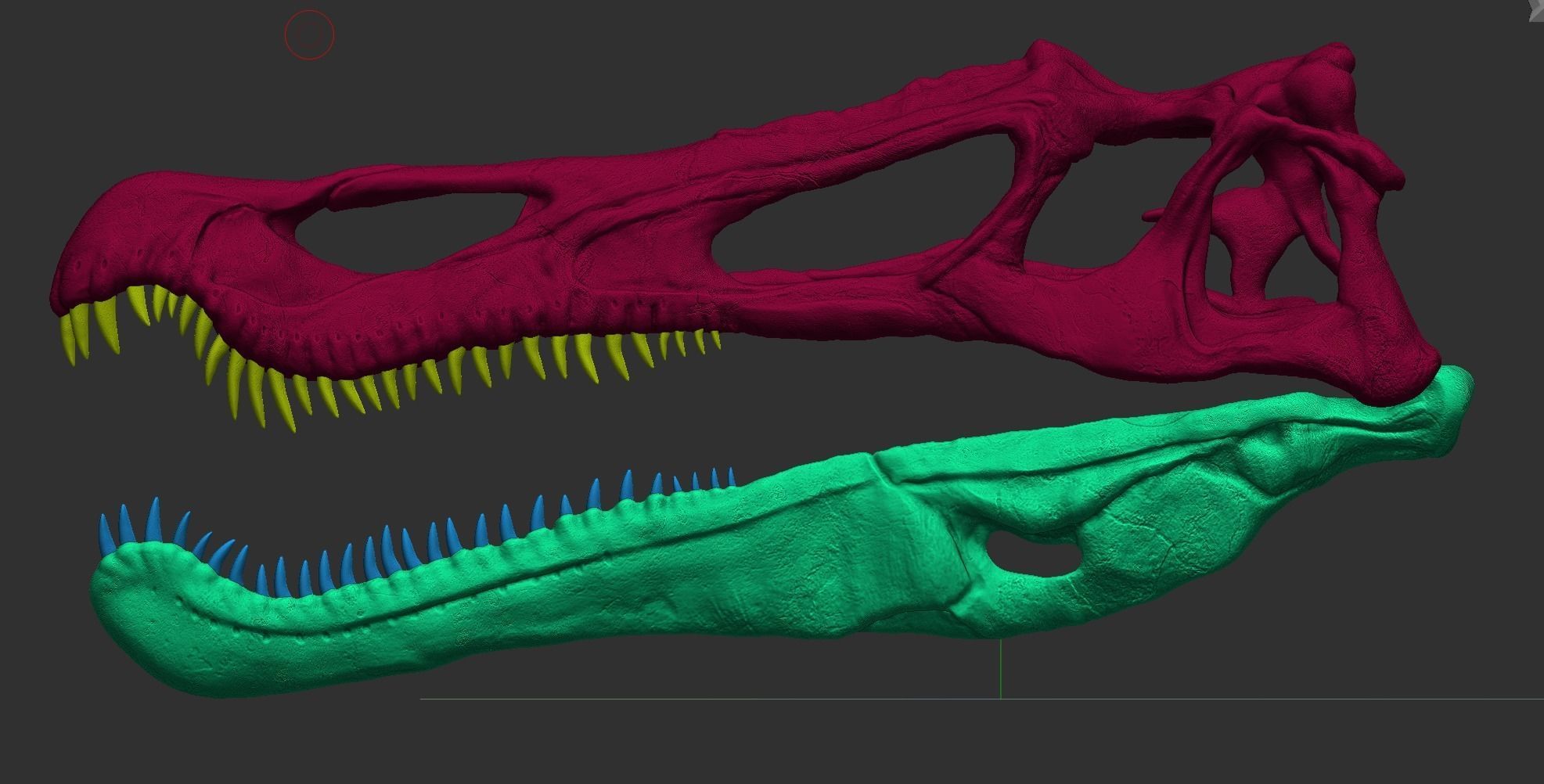 Baryonyx Skull 3D model 3D printable | CGTrader