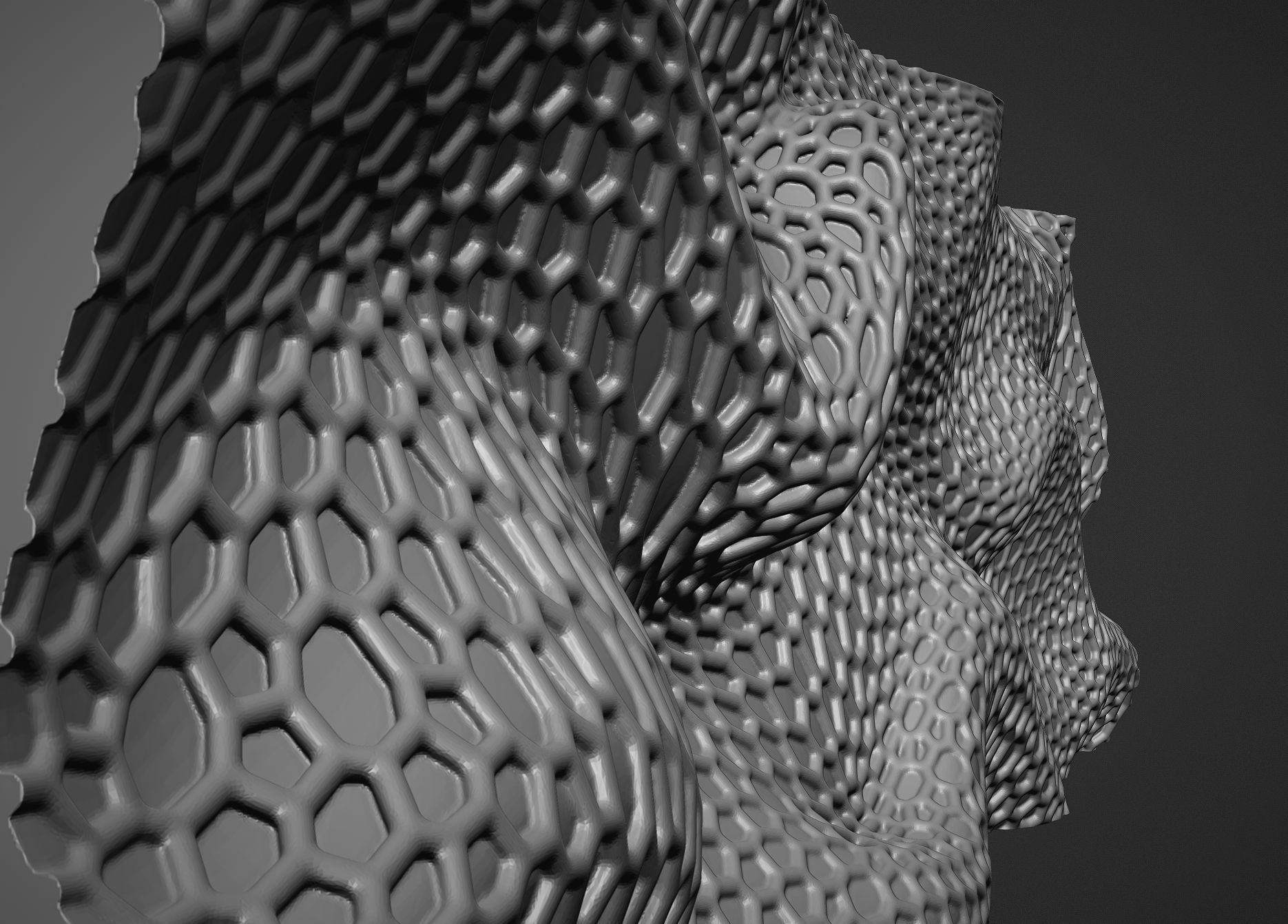 Parametric wall voronoi 3D model 3D printable | CGTrader