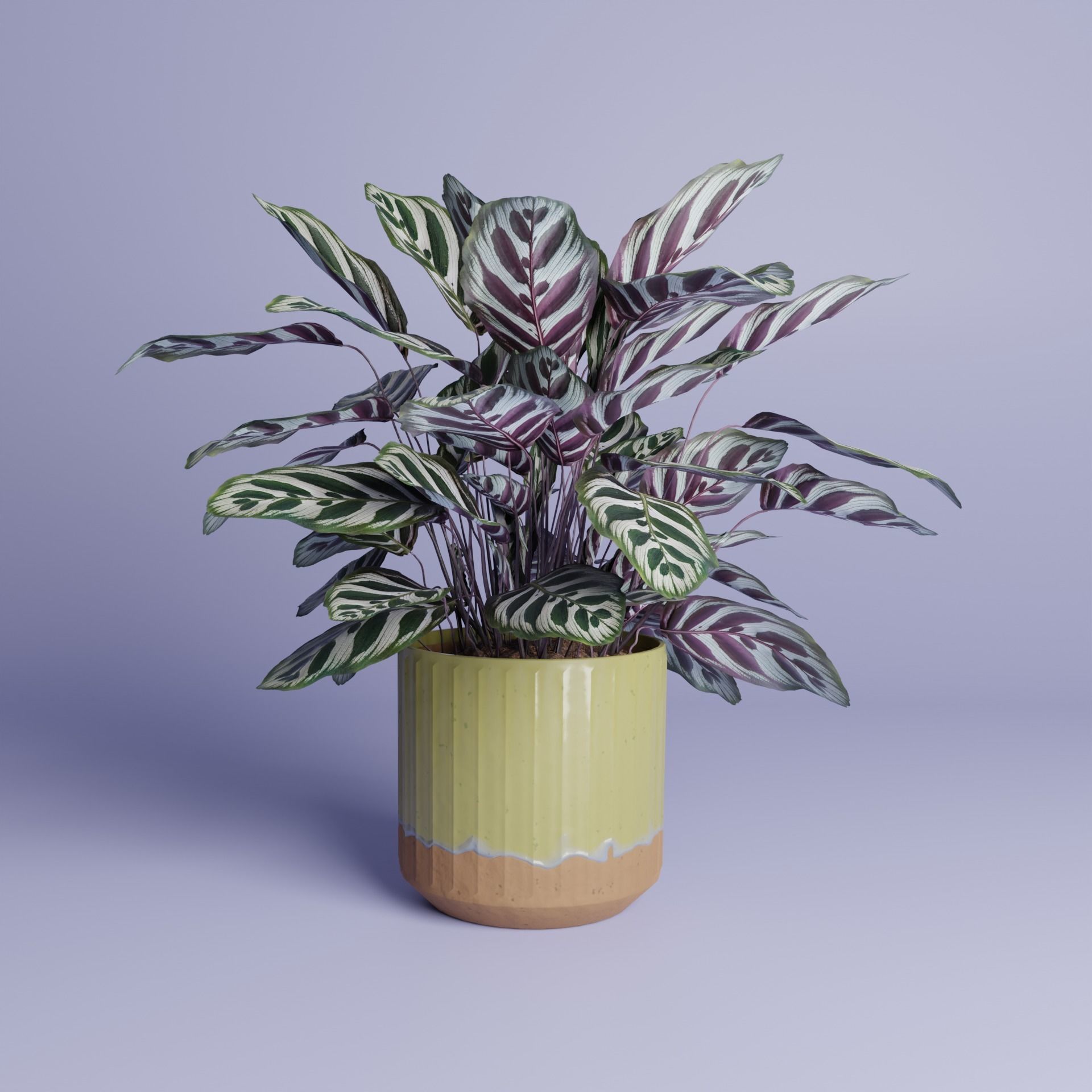 Lime colored ceramic terracotta pot free VR / AR / low-poly 3D model ...