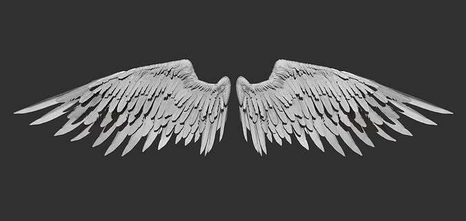 wings 3D model | CGTrader