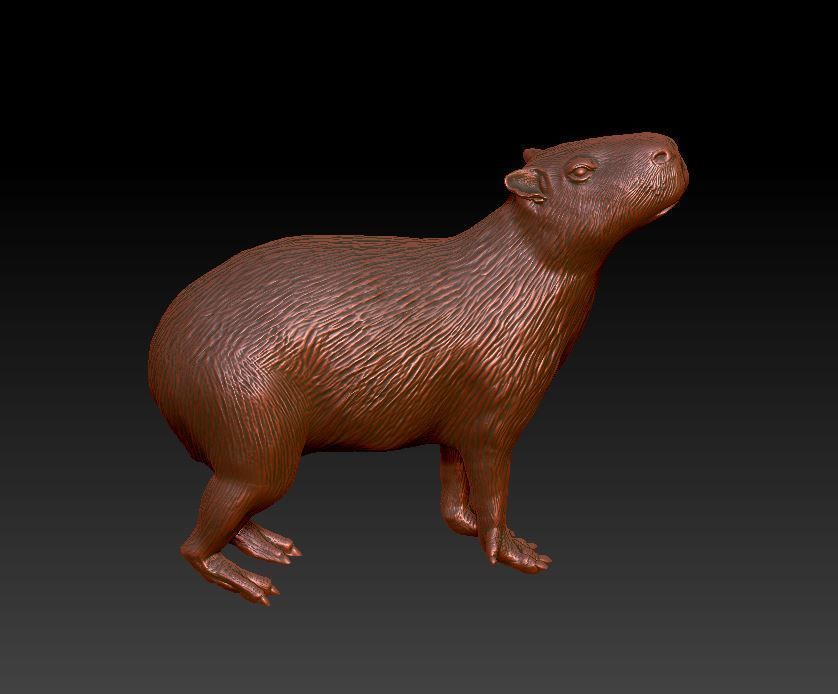capybara 7 poses 3D model 3D printable | CGTrader