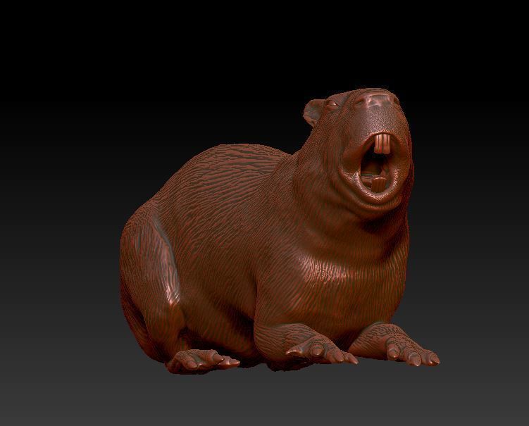 capybara 7 poses 3D model 3D printable | CGTrader