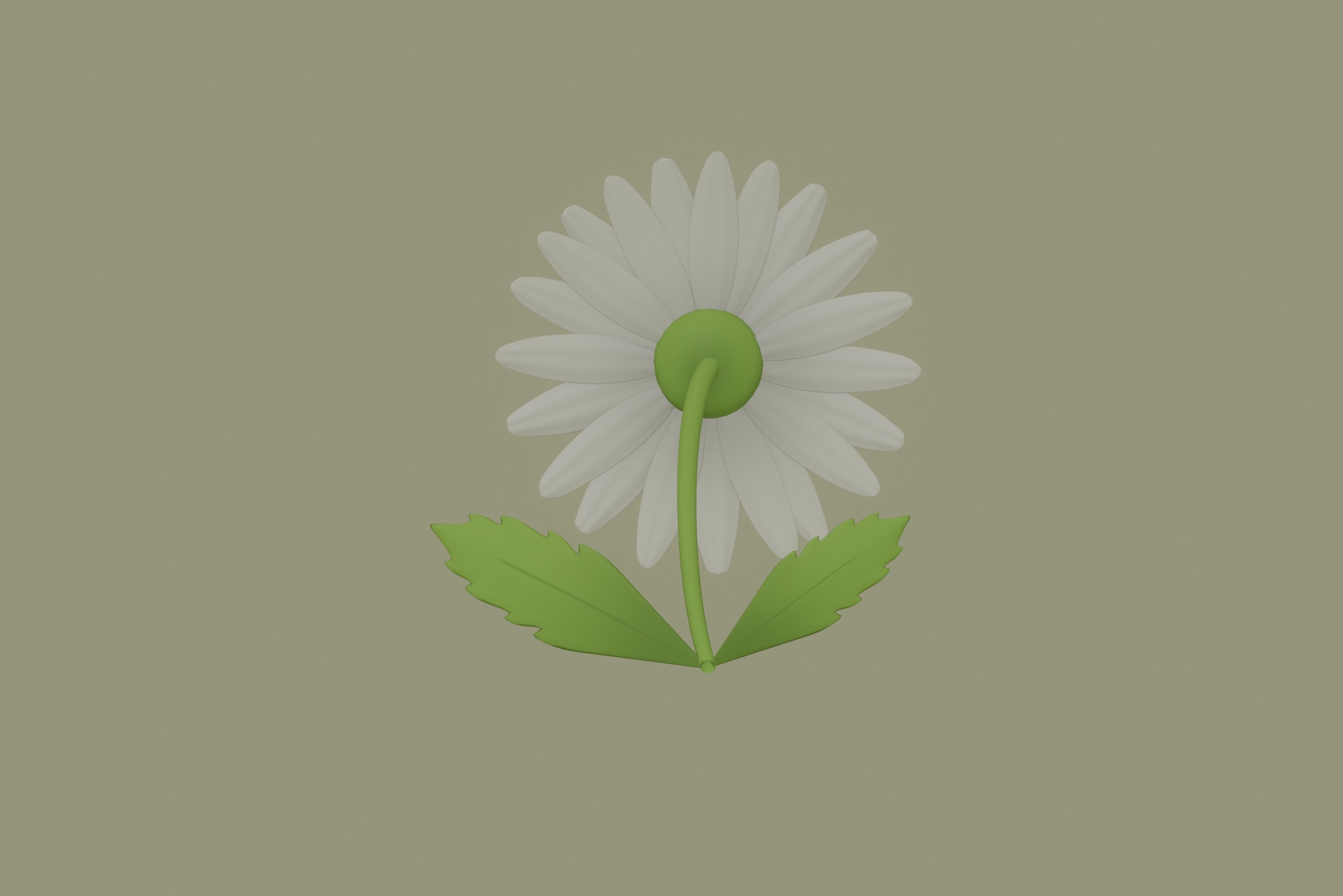 3D model Daisy Flower VR / AR / low-poly | CGTrader