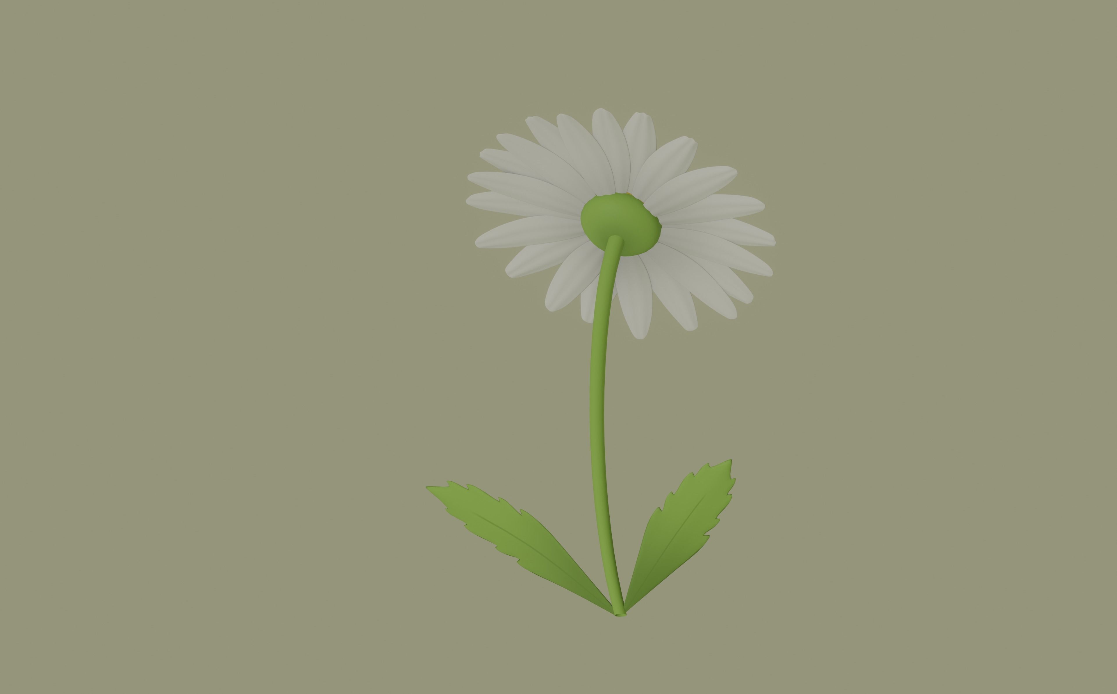 3D model Daisy Flower VR / AR / low-poly | CGTrader