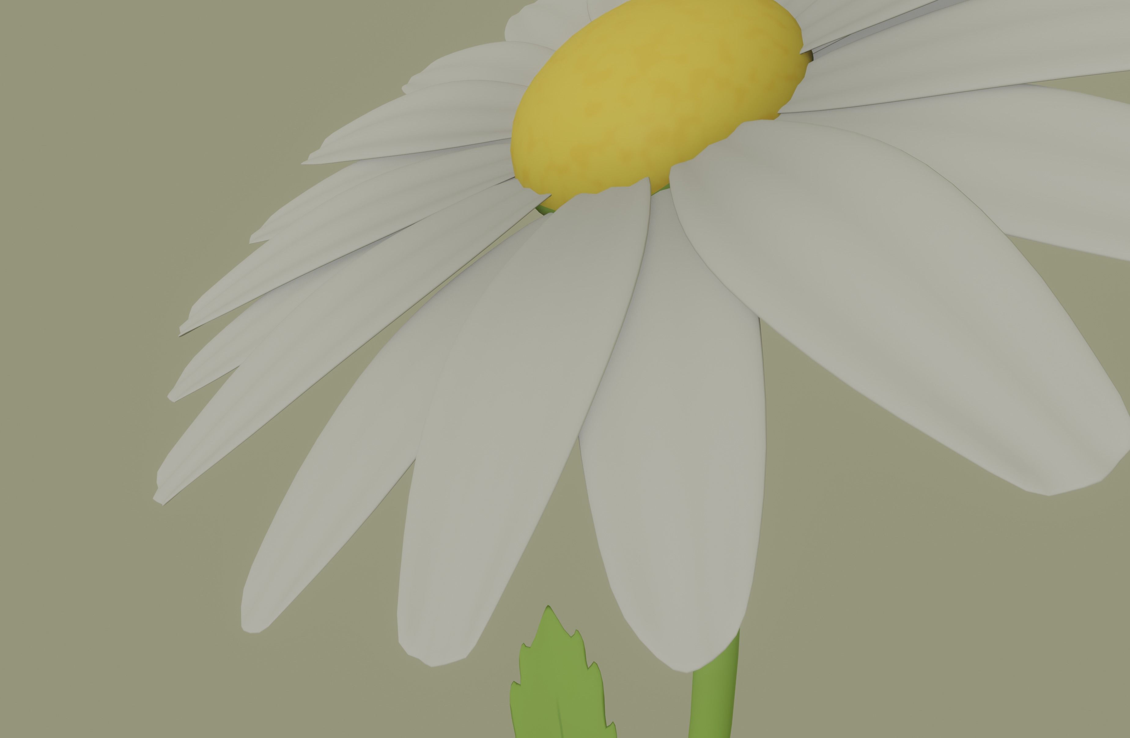 3D model Daisy Flower VR / AR / low-poly | CGTrader