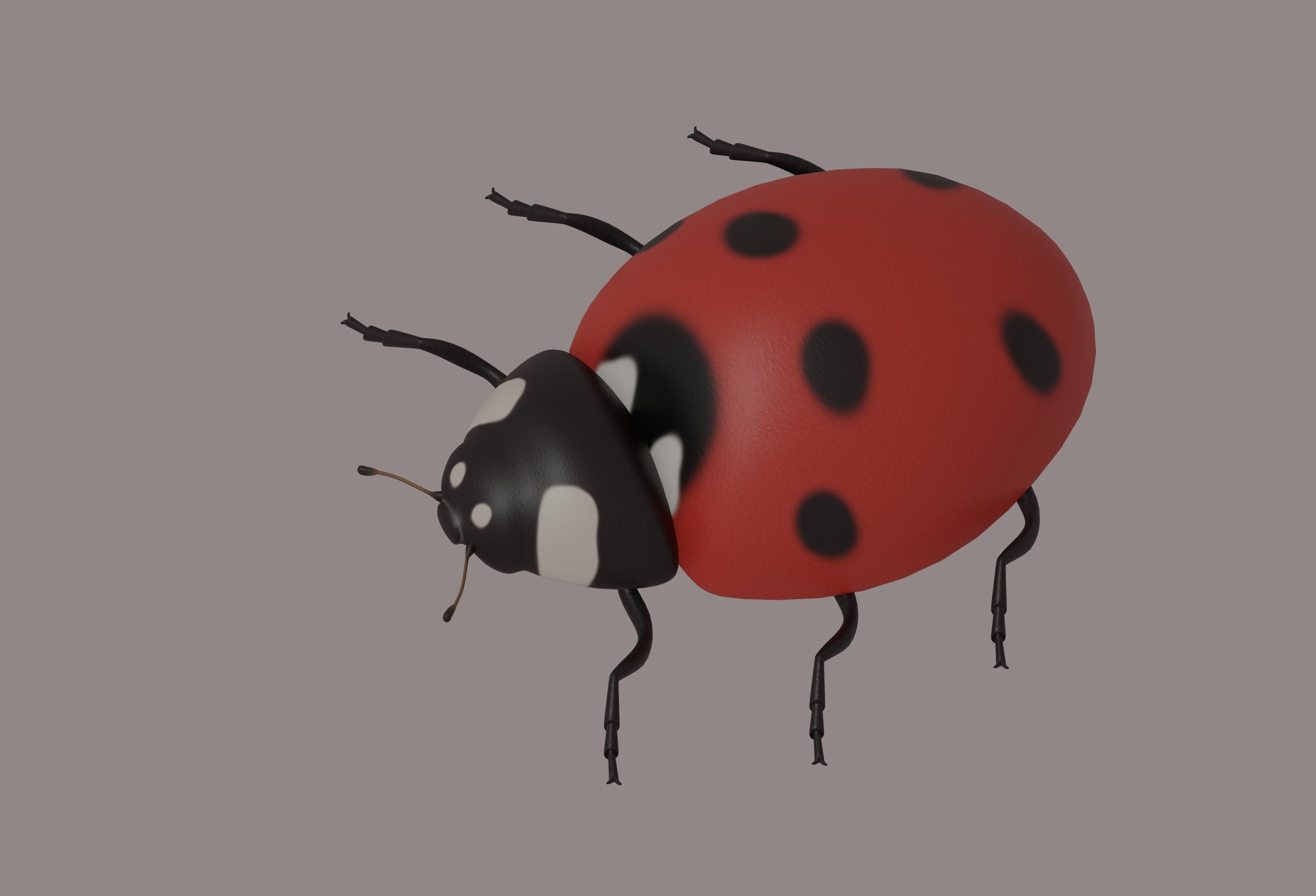3D model Ladybug VR / AR / low-poly | CGTrader