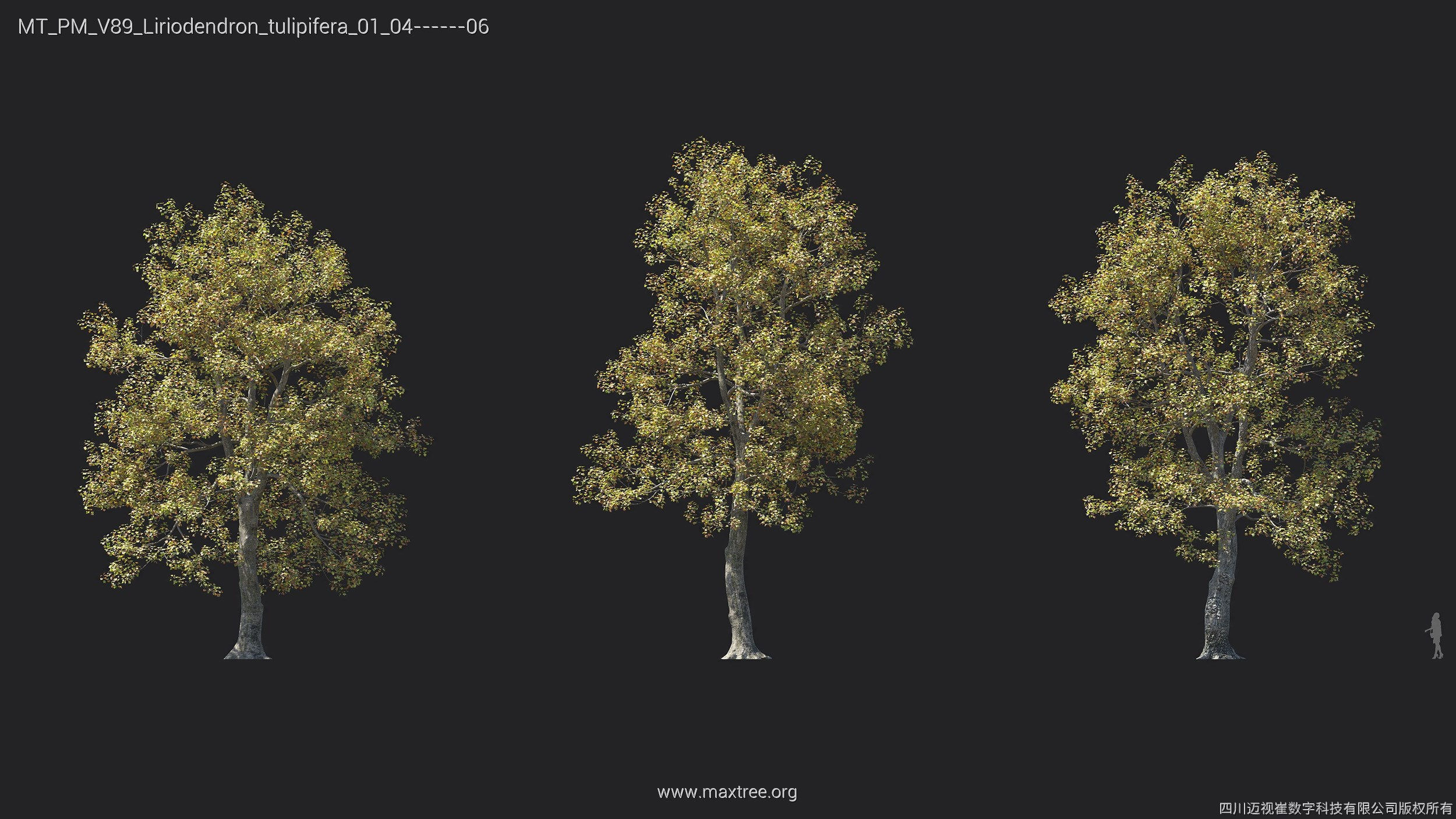 Maxtree Plant Models Vol 89 - Mesh 3D model | CGTrader