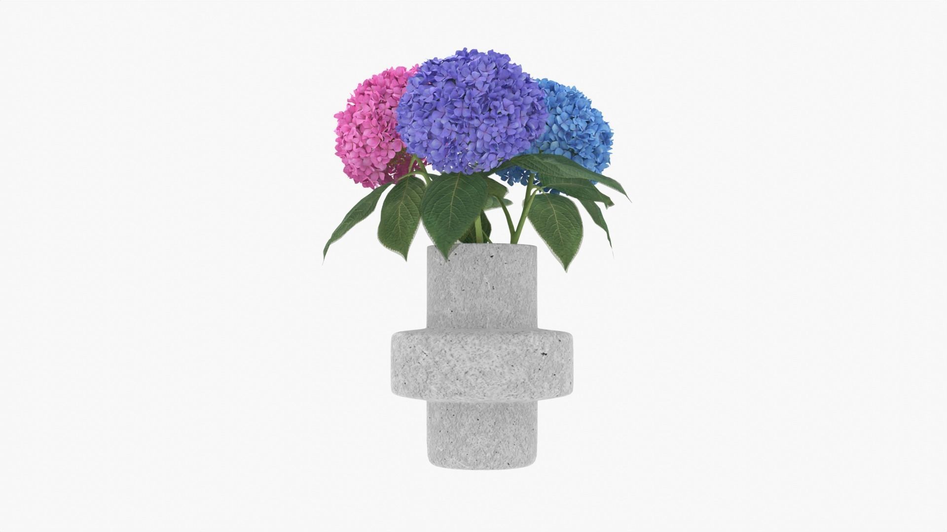 Hydrangea Flower Set 3D model | CGTrader