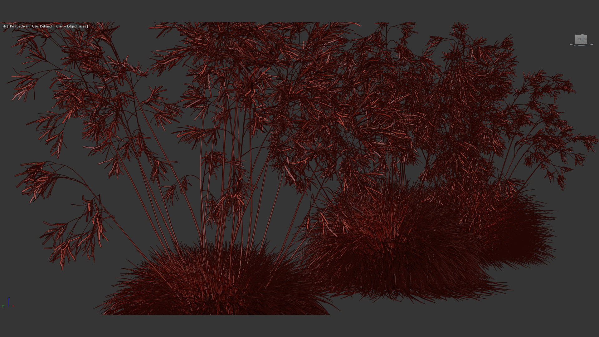 Stipa gigantea Golden oat 3D Model 01 3D model | CGTrader