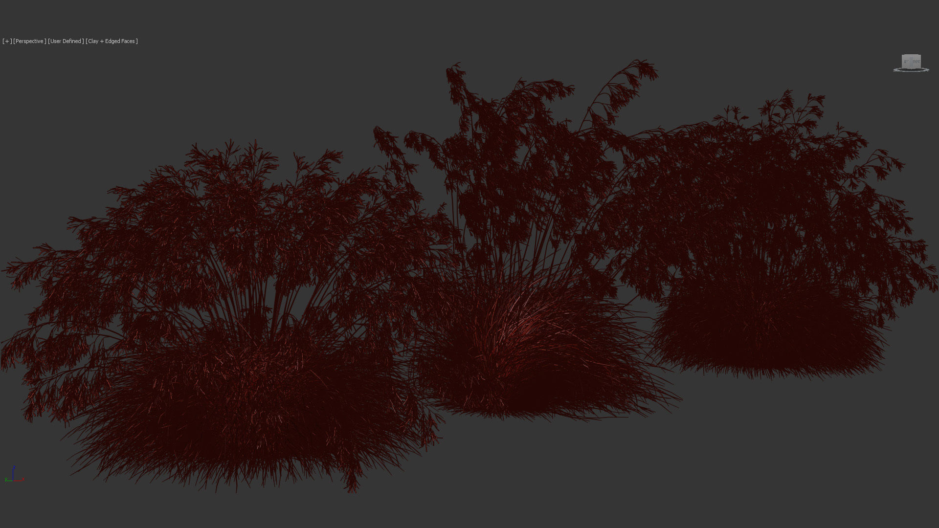 Stipa gigantea Golden oat 3D Model 02 3D model | CGTrader