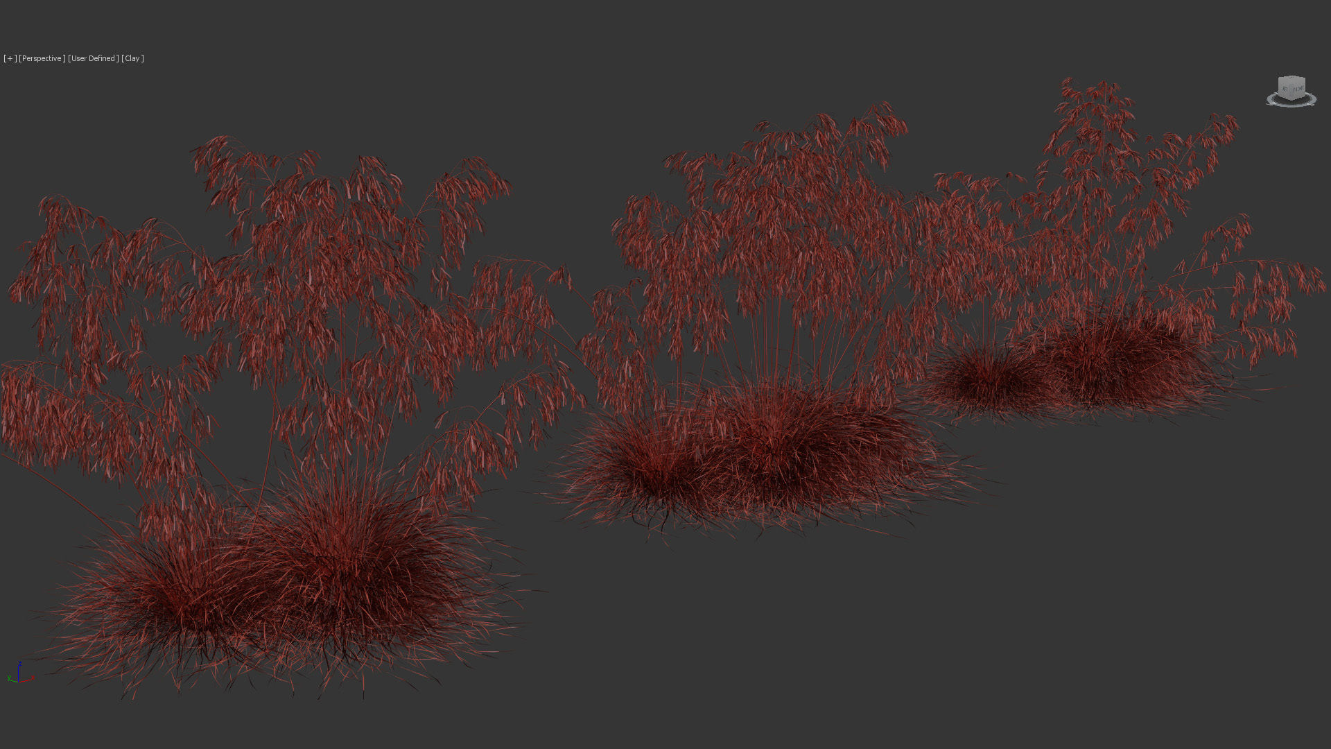 Stipa gigantea Golden oat 3D Model 02 3D model | CGTrader