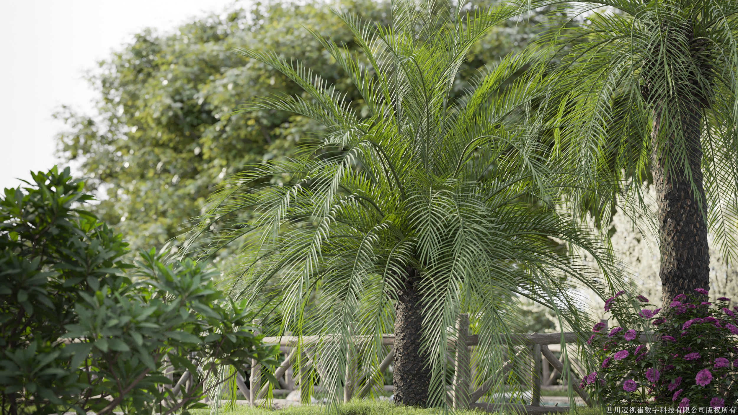 Maxtree Plant Models Vol 94 - Mesh 3D model | CGTrader