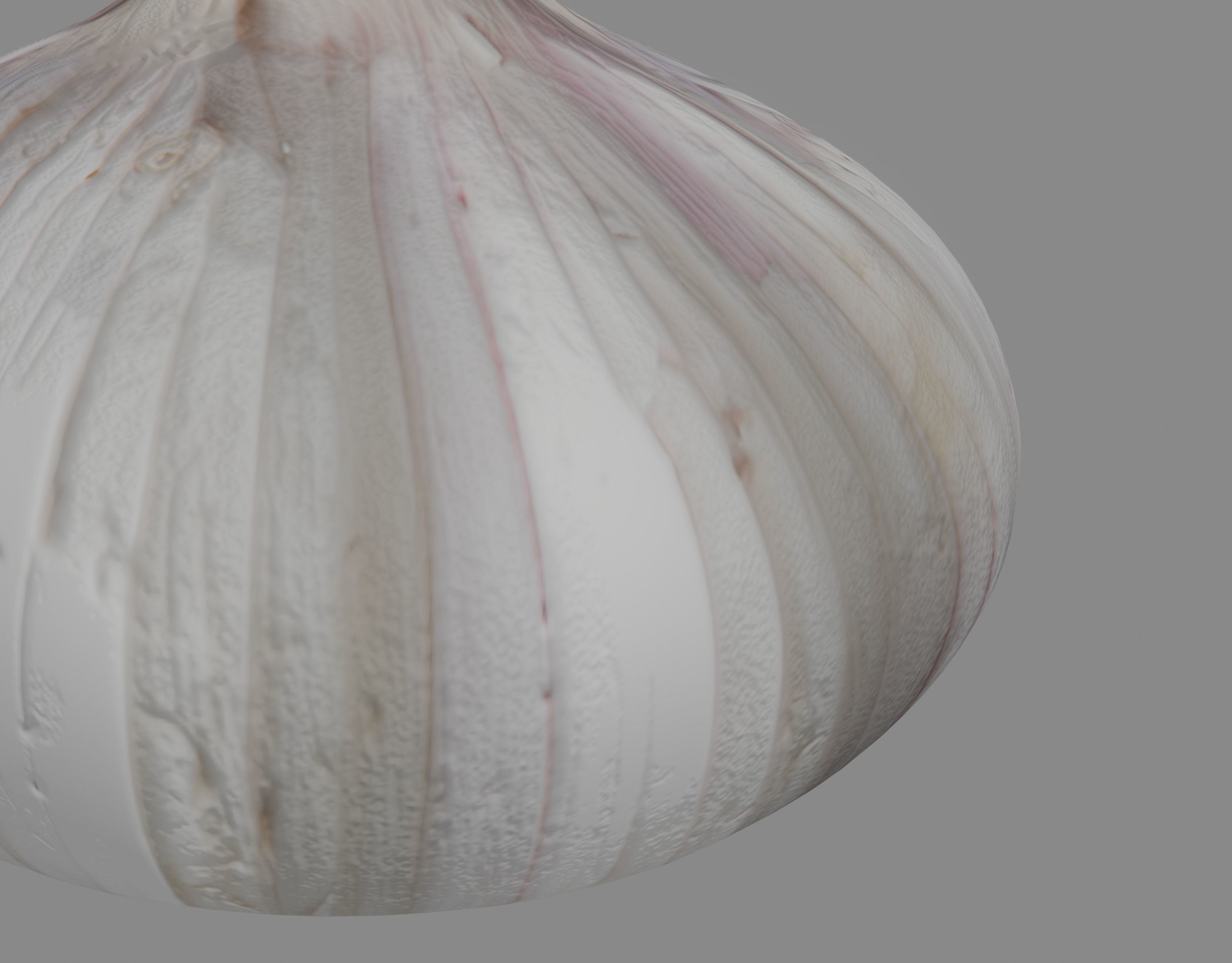3D model Garlic VR / AR / low-poly | CGTrader