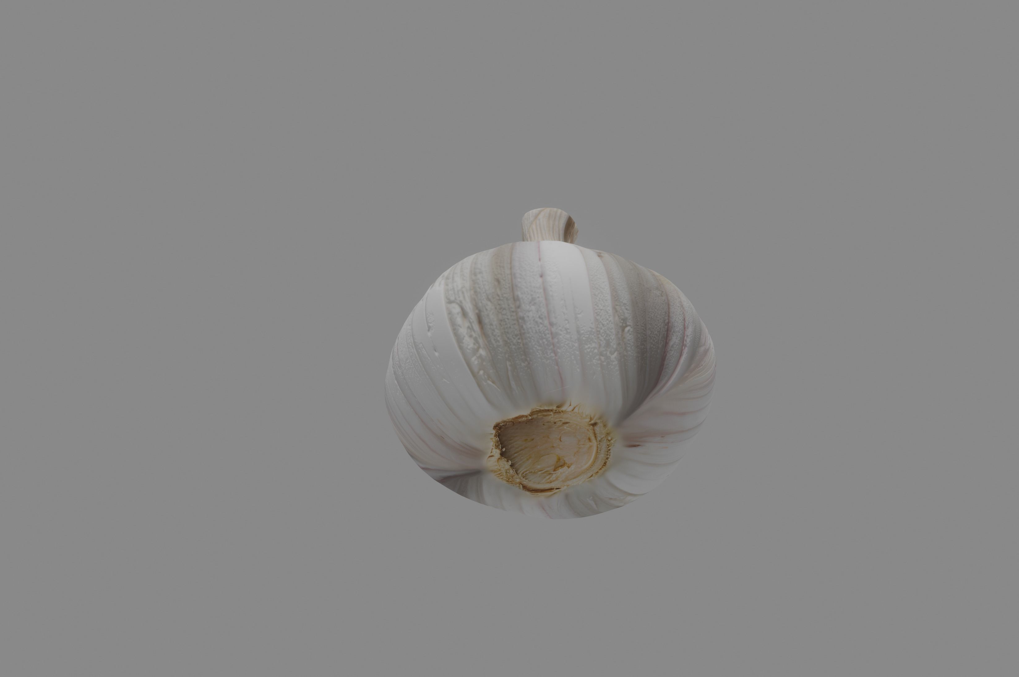 3D model Garlic VR / AR / low-poly | CGTrader