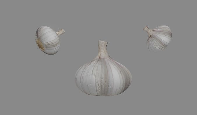 3D model Garlic VR / AR / low-poly | CGTrader