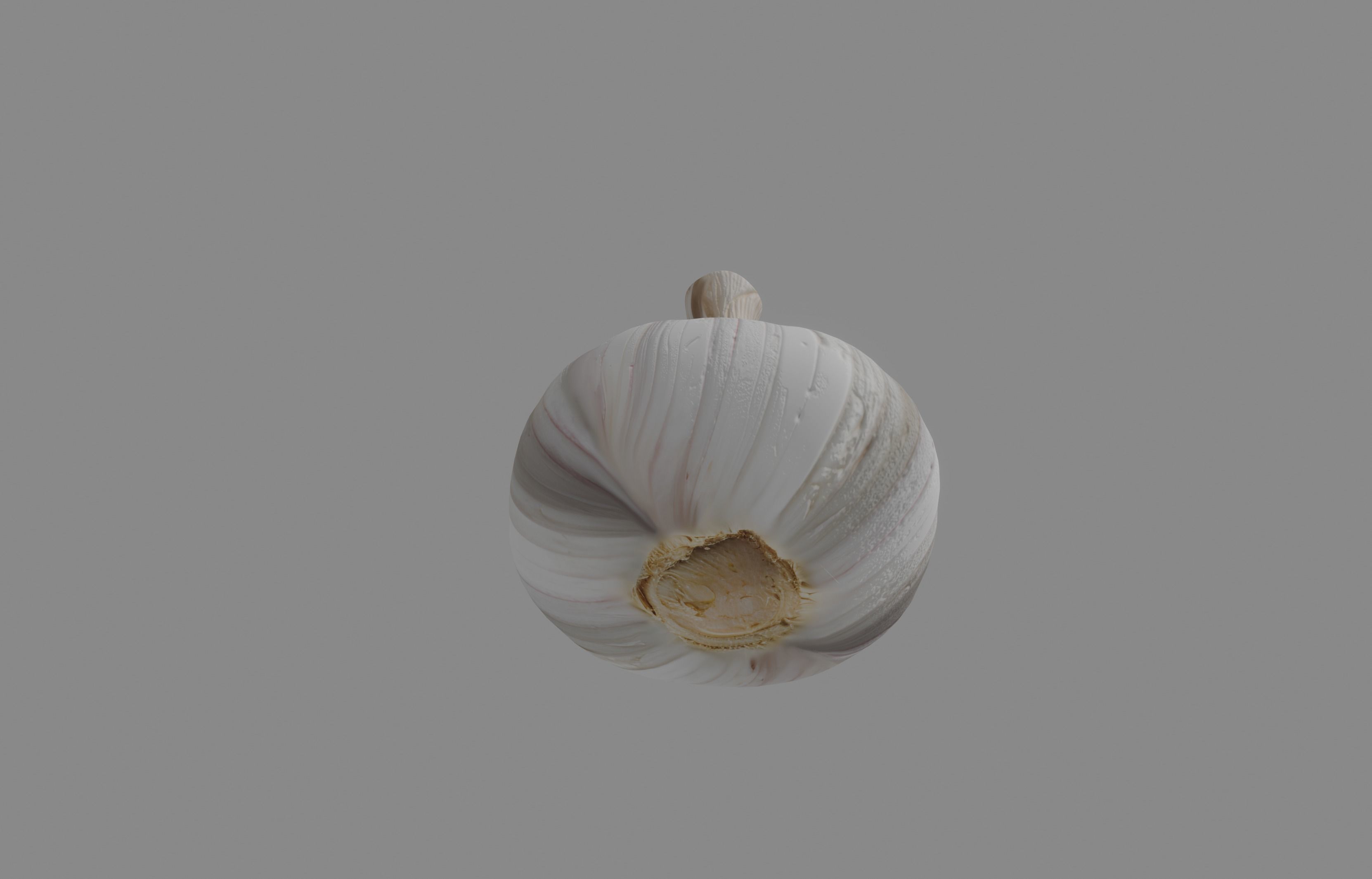 3D model Garlic VR / AR / low-poly | CGTrader