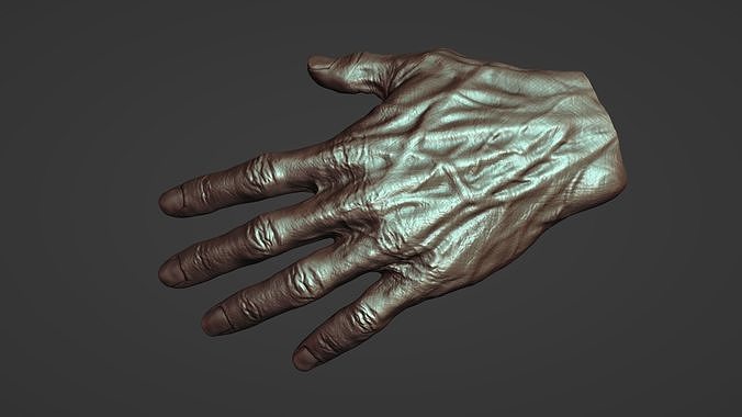 Hand Sculpture 3D model | CGTrader
