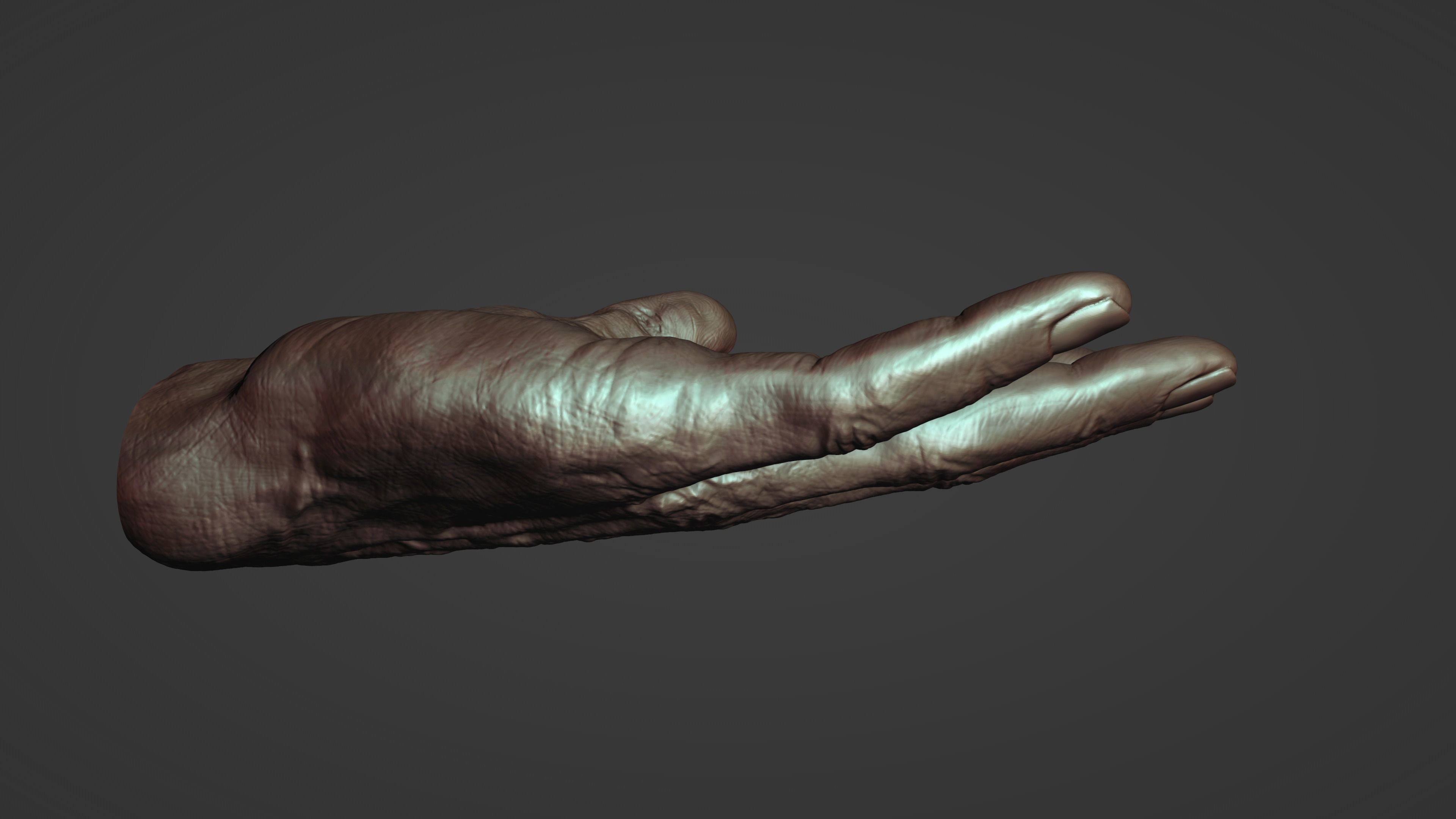 Hand Sculpture 3D model | CGTrader