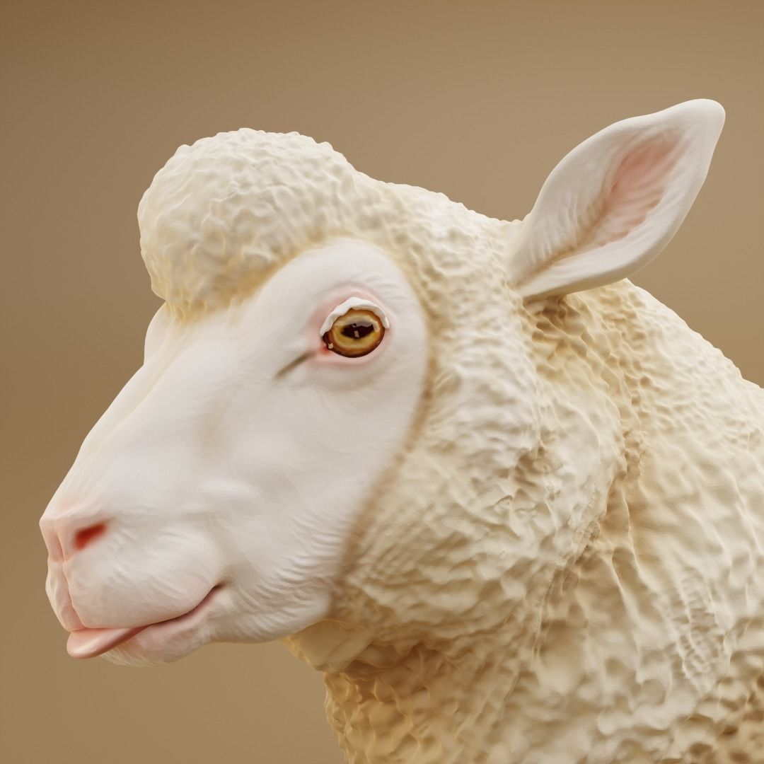 Peep the sheep 3D model 3D printable | CGTrader