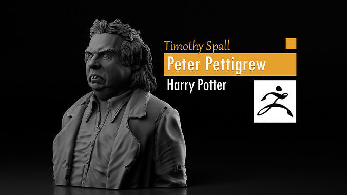 Timothy Spall - Peter Pettigrew - Harry Potter 3D model 3D printable ...