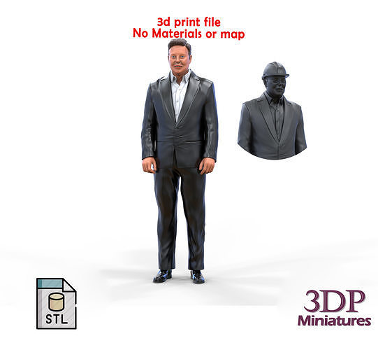 Elon Musk 3D model 3D printable | CGTrader