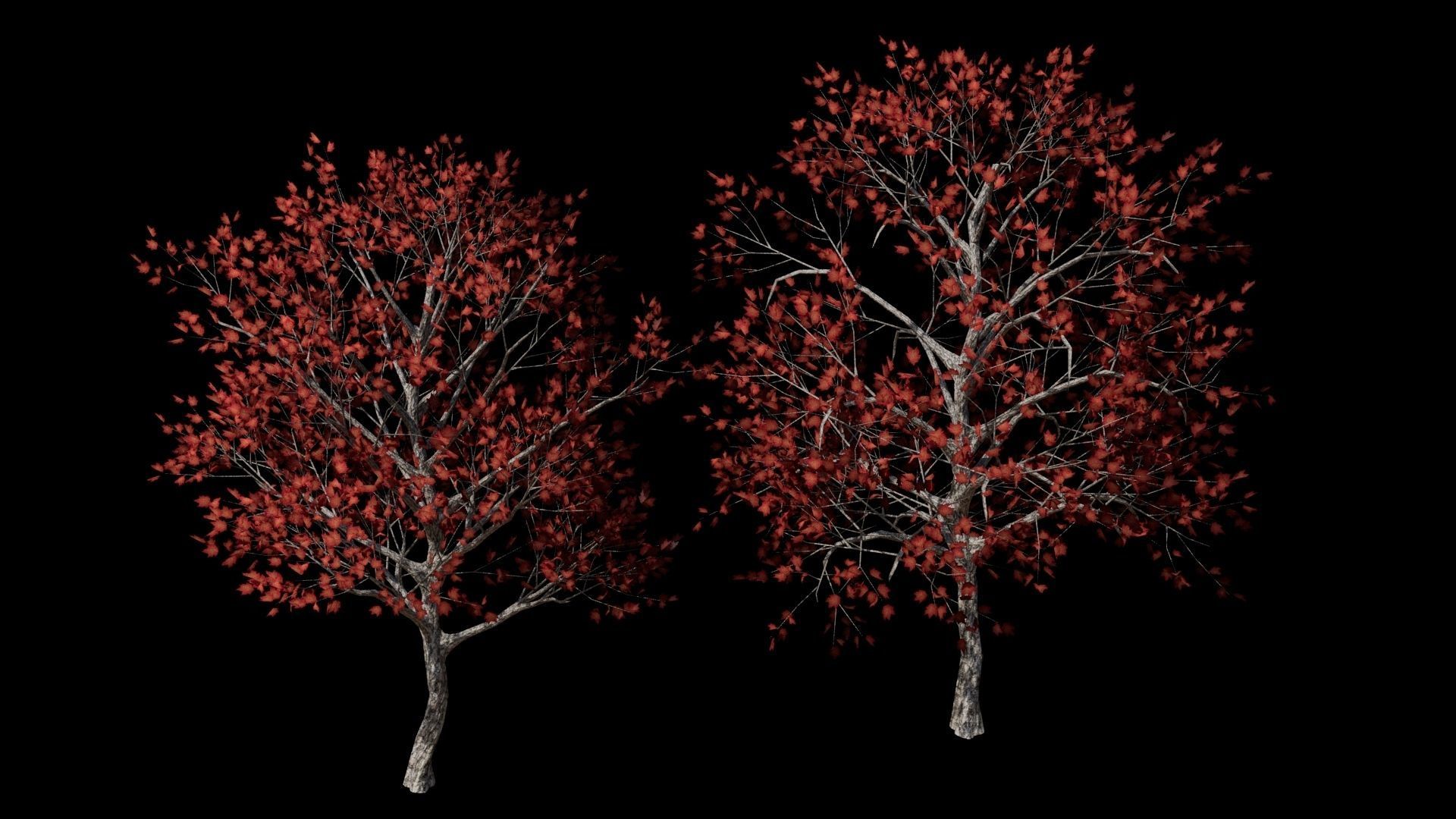 Maple Trees free VR / AR / low-poly 3D model | CGTrader