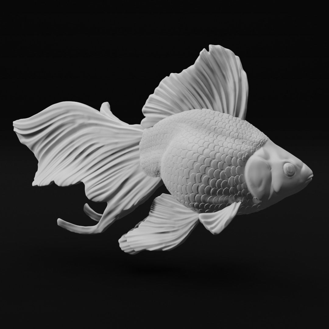 Ryukin Fancy Goldfish - Realistic Fish Pet 3d Print Model 3D model 3D ...