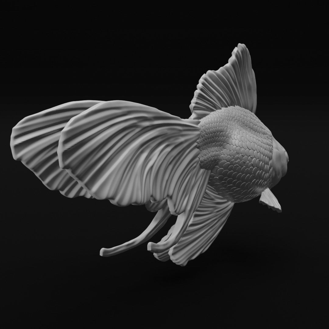 Ryukin Fancy Goldfish - Realistic Fish Pet 3d Print Model 3D model 3D ...
