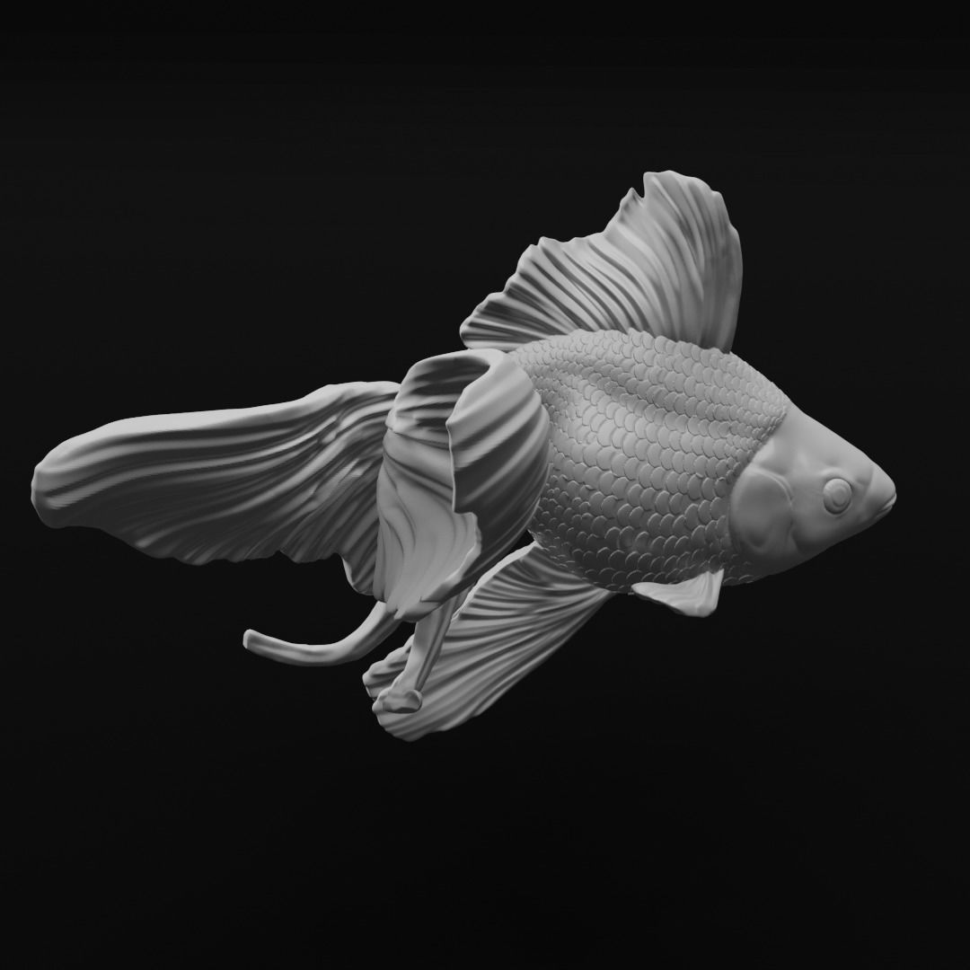 Ryukin Fancy Goldfish - Realistic Fish Pet 3d Print Model 3D model 3D ...