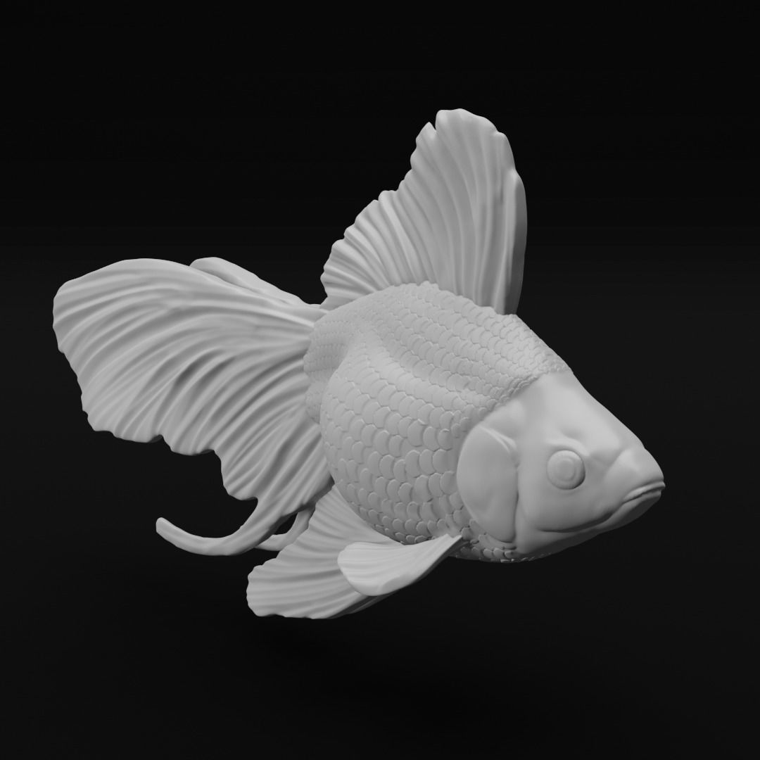 Ryukin Fancy Goldfish - Realistic Fish Pet 3d Print Model 3D model 3D ...