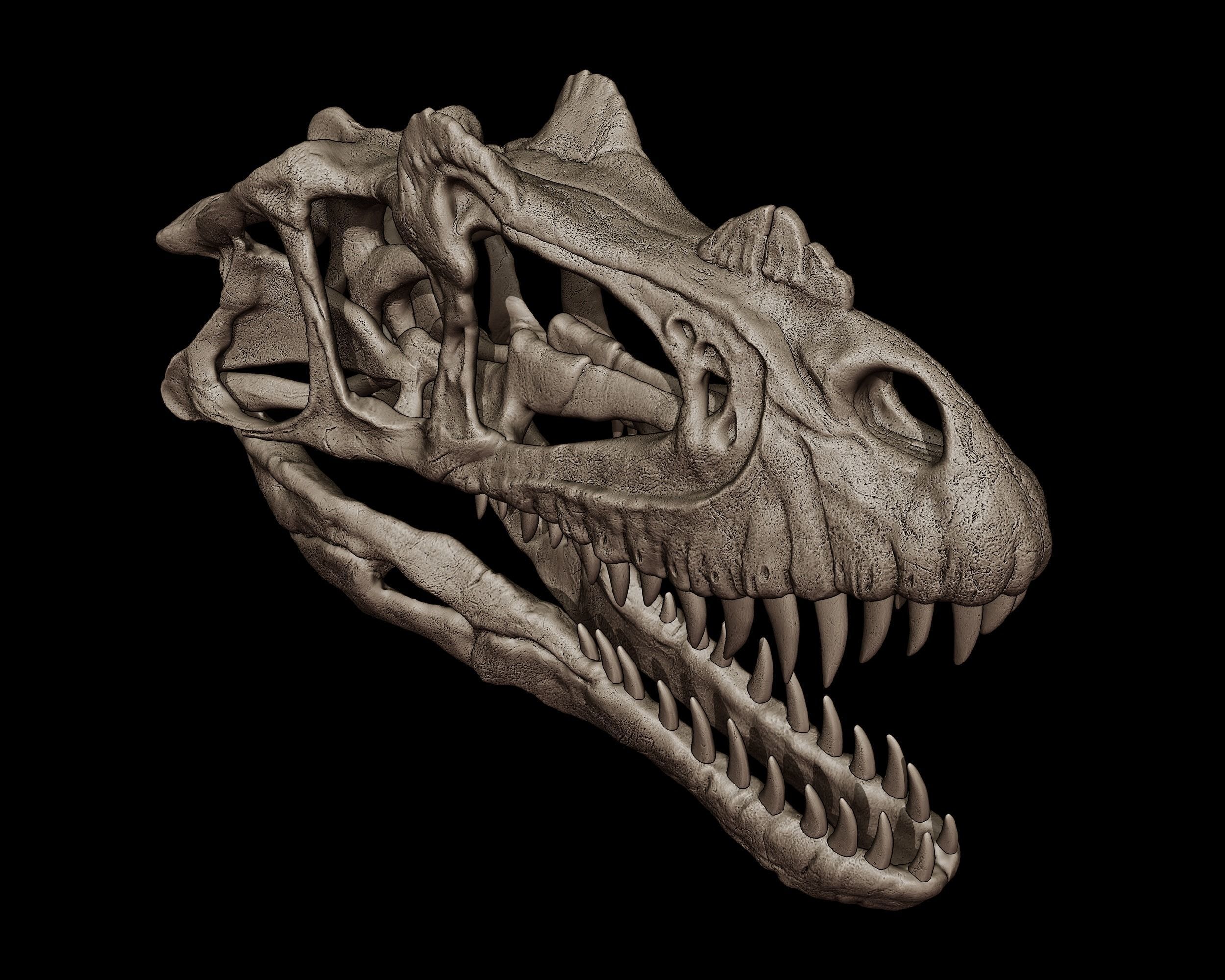 Ceratosaurus Skull 3D model 3D printable | CGTrader
