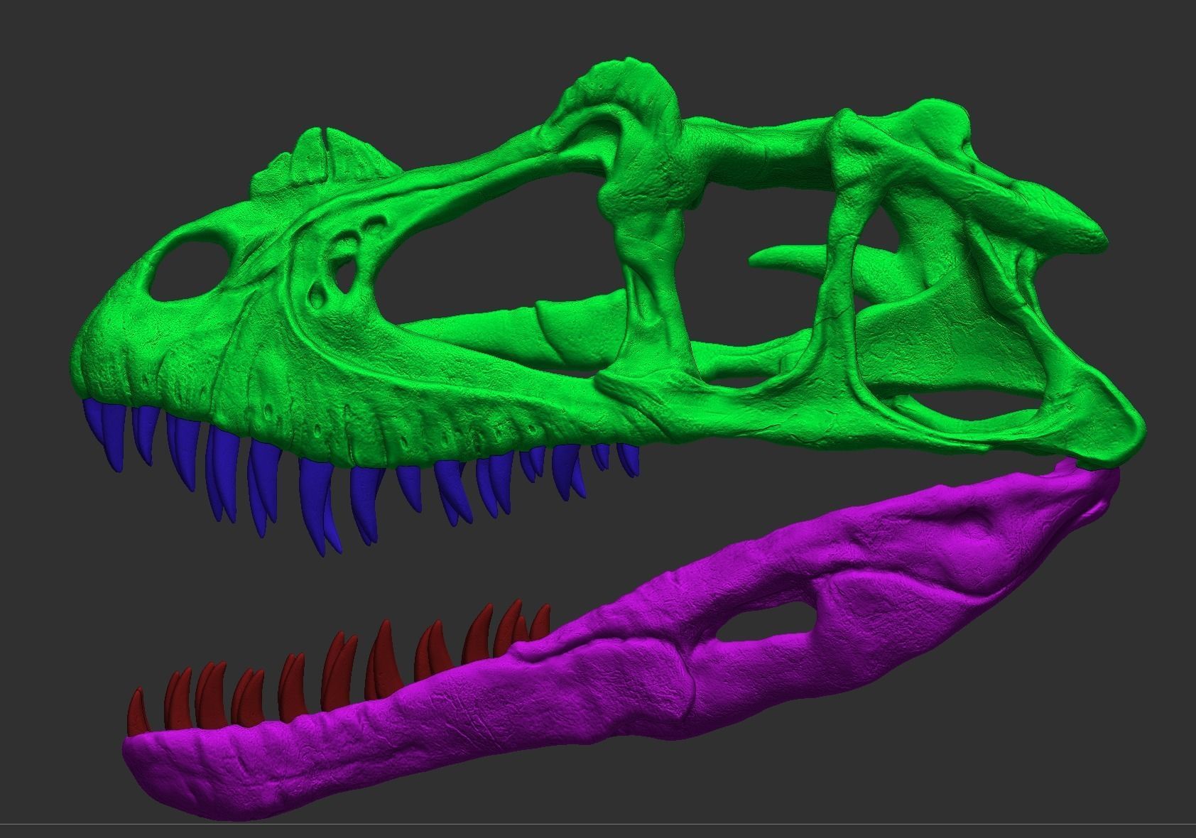 Ceratosaurus Skull 3D model 3D printable | CGTrader