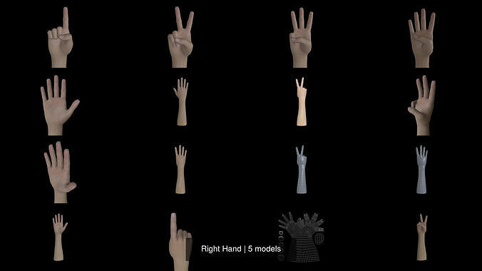 Right Hand 3D Model Collection | CGTrader