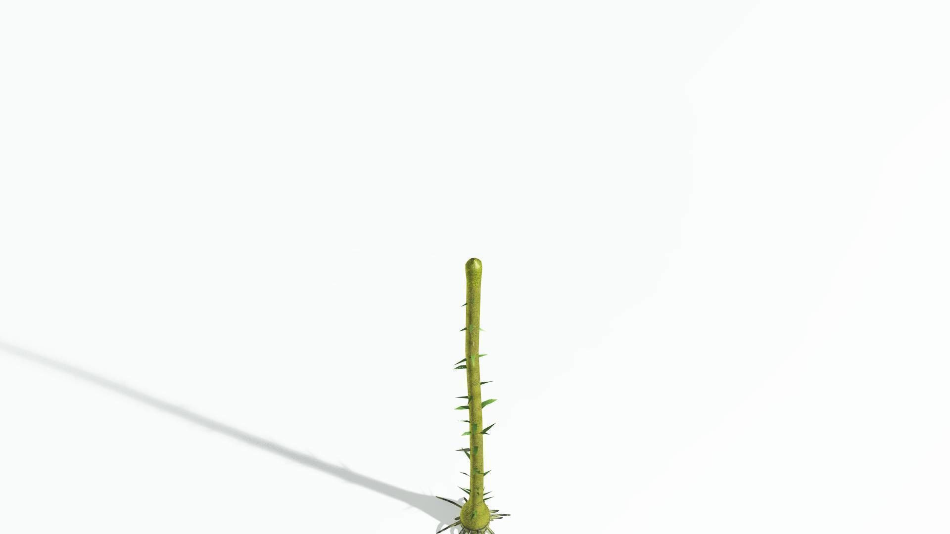 EVERYPlant Chaloneria 1 --16 Models-- 3D model | CGTrader