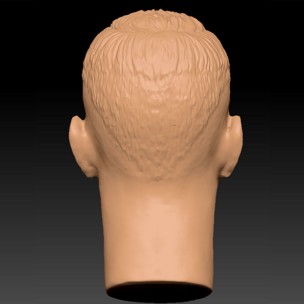 The Forrest Gump Tom Hanks Head sculpture 3D print model 3D model 3D ...