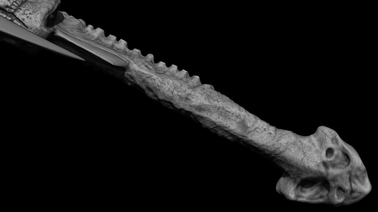 3D PRINTABLE SHAMAN PREDATOR SKULL AXE WEAPON 3D model 3D printable ...