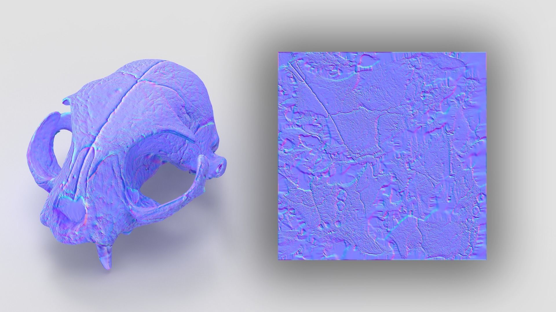 3D model Real Cat Skull Scan VR / AR / low-poly | CGTrader