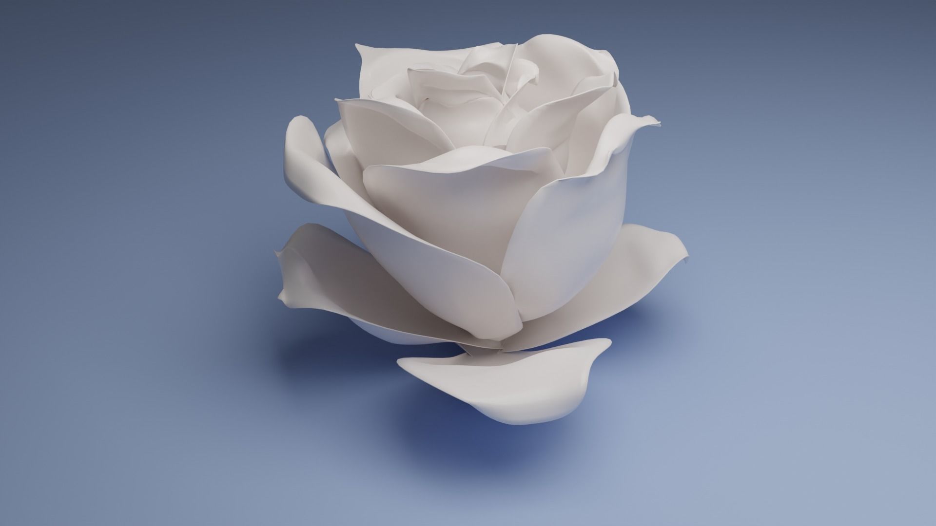 White Rose 3D model | CGTrader