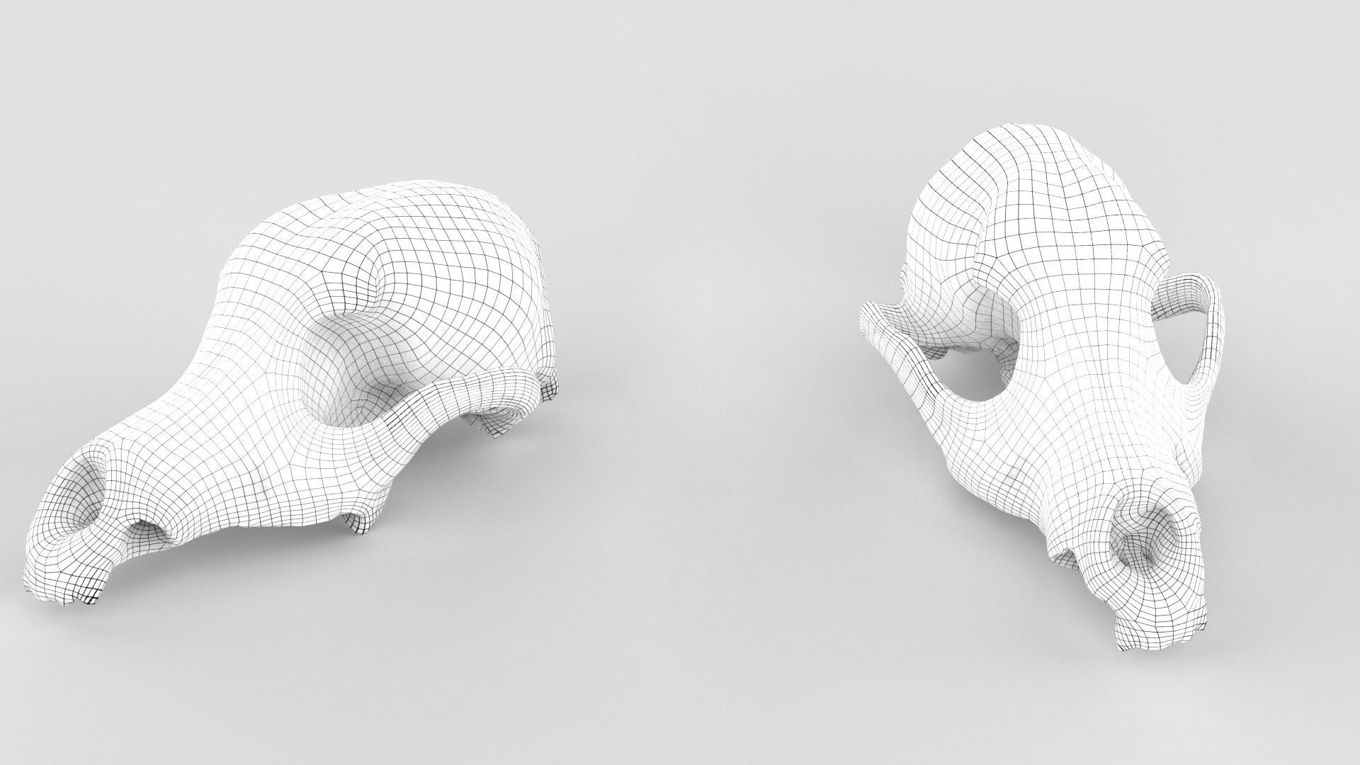 3D model Real Dog Skull Scan VR / AR / low-poly | CGTrader