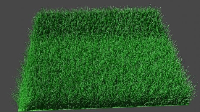 3D model Grass model VR / AR / low-poly | CGTrader