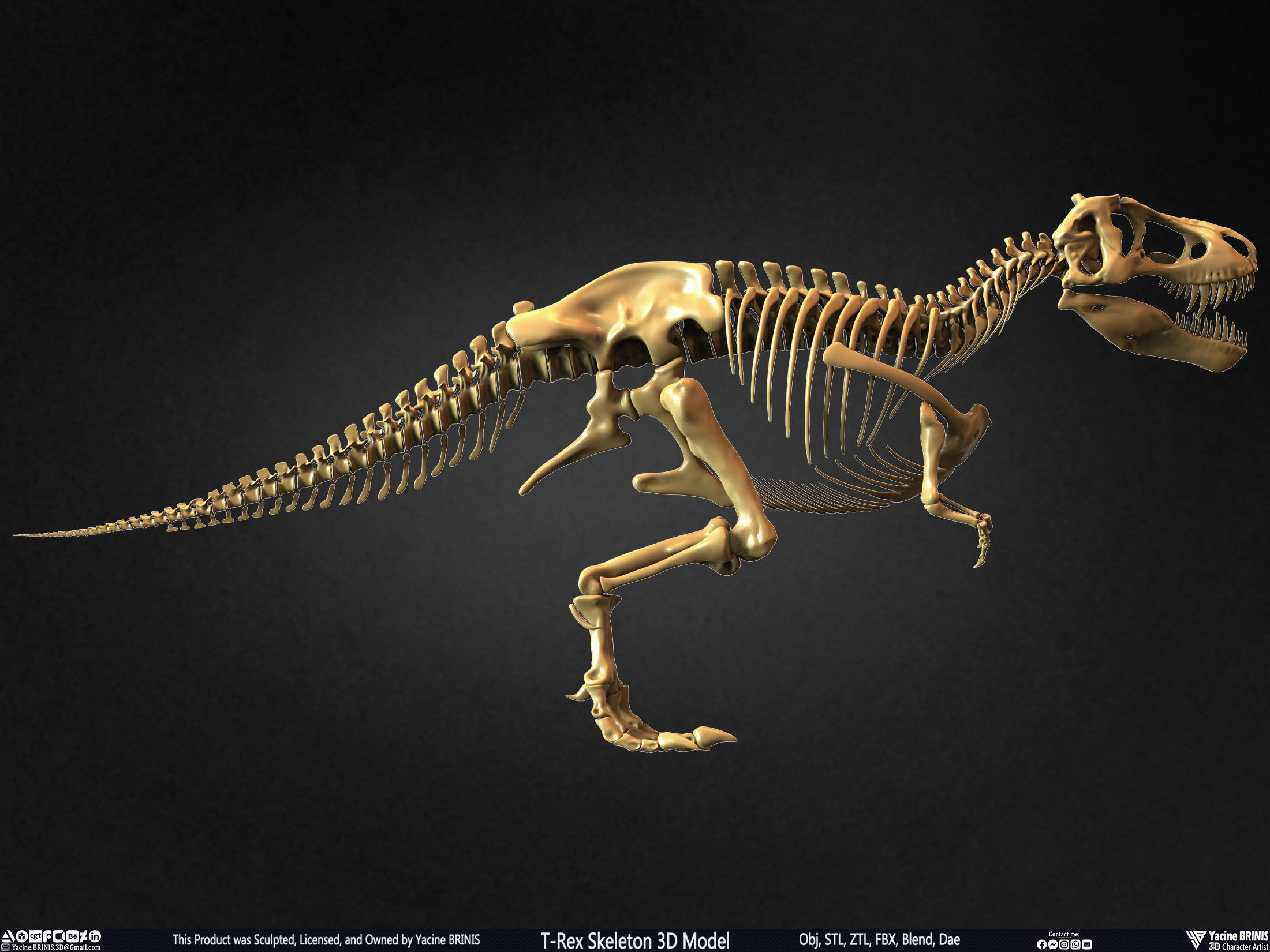 3D model T-Rex Skeleton 3D Model VR / AR / low-poly | CGTrader