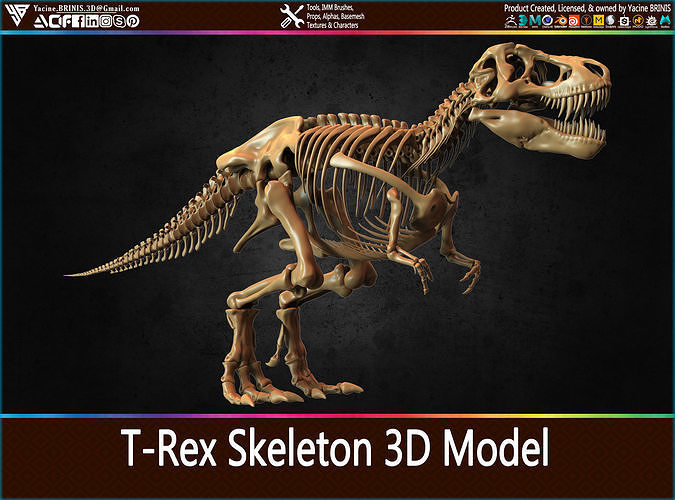 3D model T-Rex Skeleton 3D Model VR / AR / low-poly | CGTrader