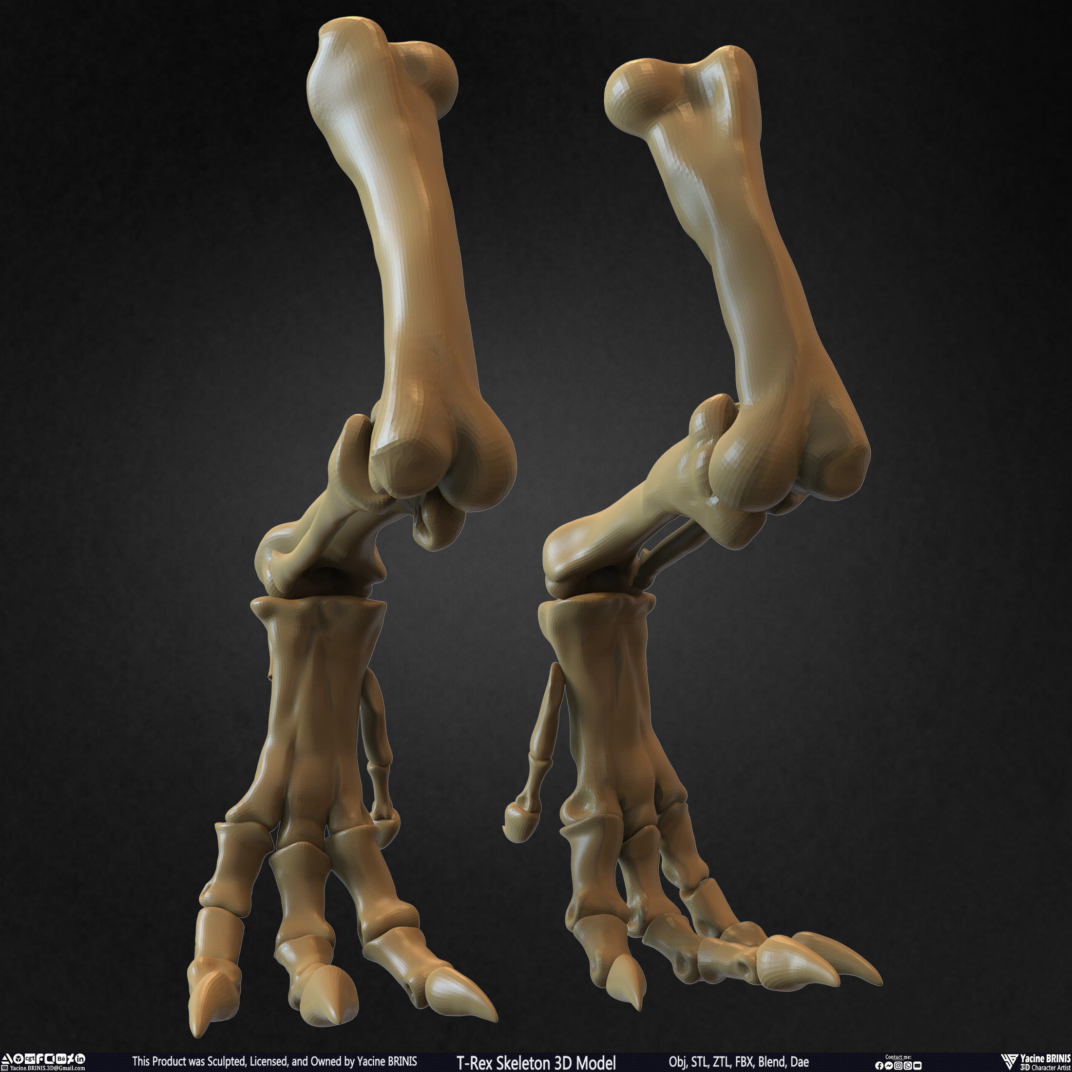 3D model T-Rex Skeleton 3D Model VR / AR / low-poly | CGTrader