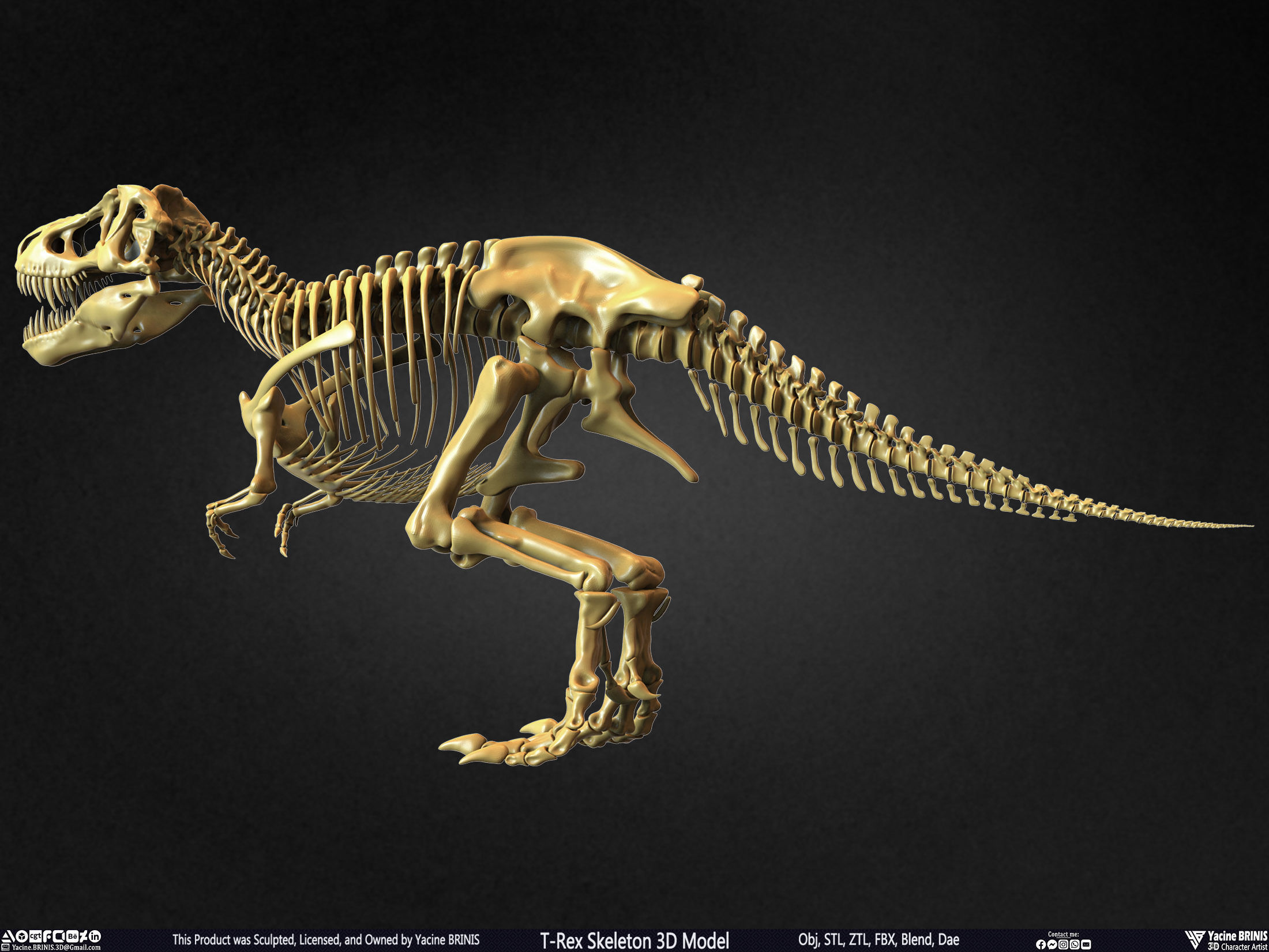 3D model T-Rex Skeleton 3D Model VR / AR / low-poly | CGTrader