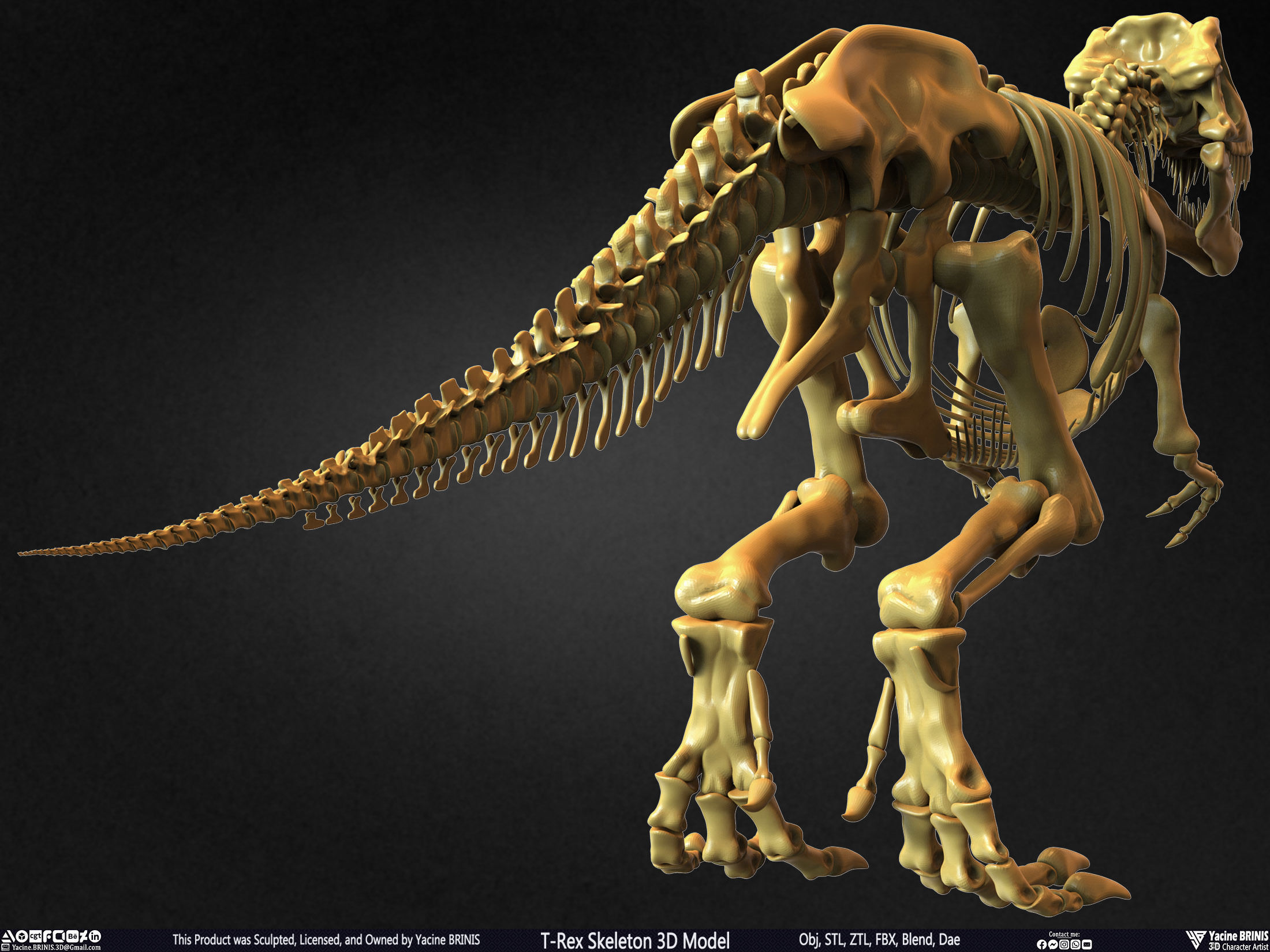 3D model T-Rex Skeleton 3D Model VR / AR / low-poly | CGTrader