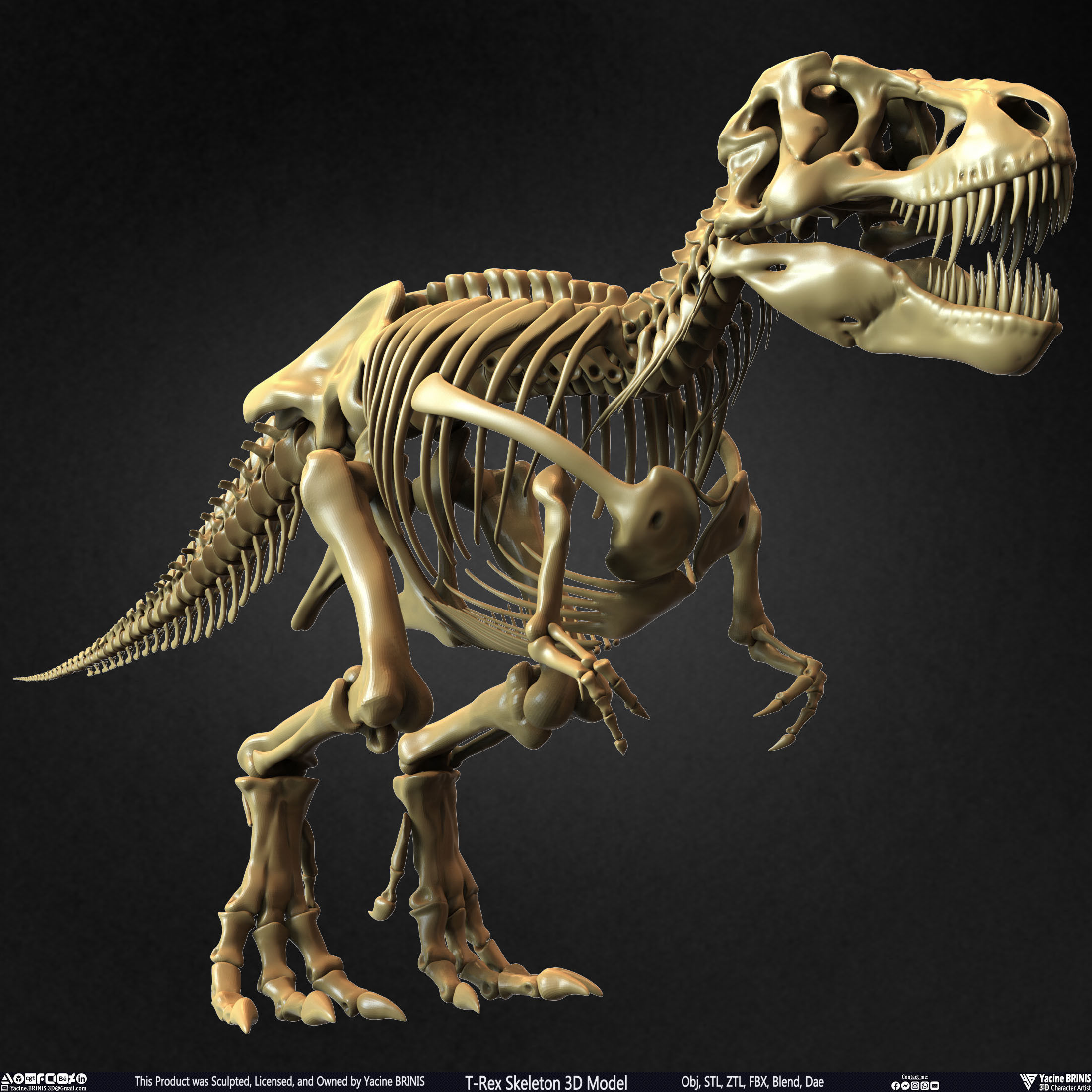 3D model T-Rex Skeleton 3D Model VR / AR / low-poly | CGTrader